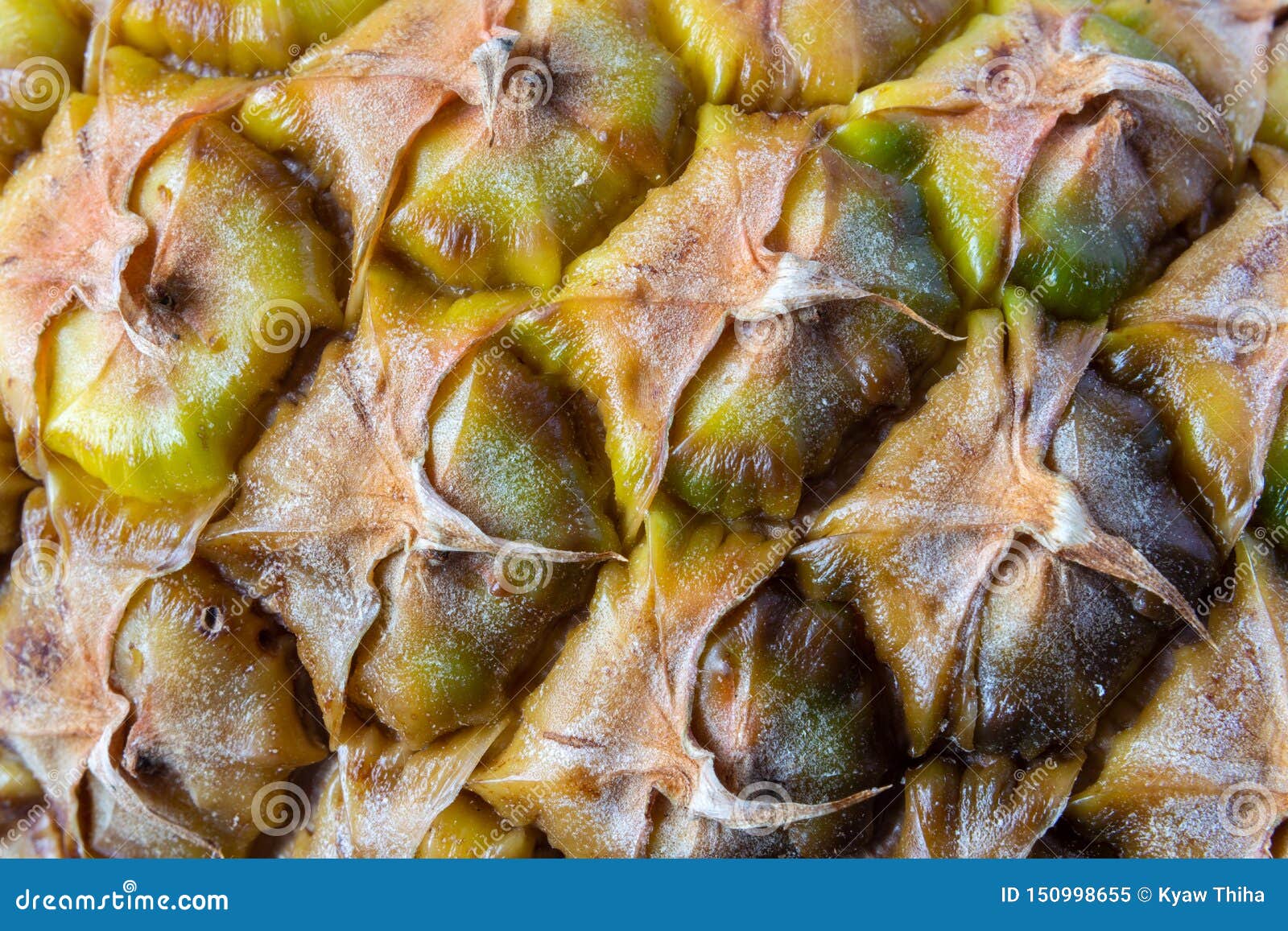 Close-up of Pineapple Skin Texture 2 Stock Image - Image of background ...
