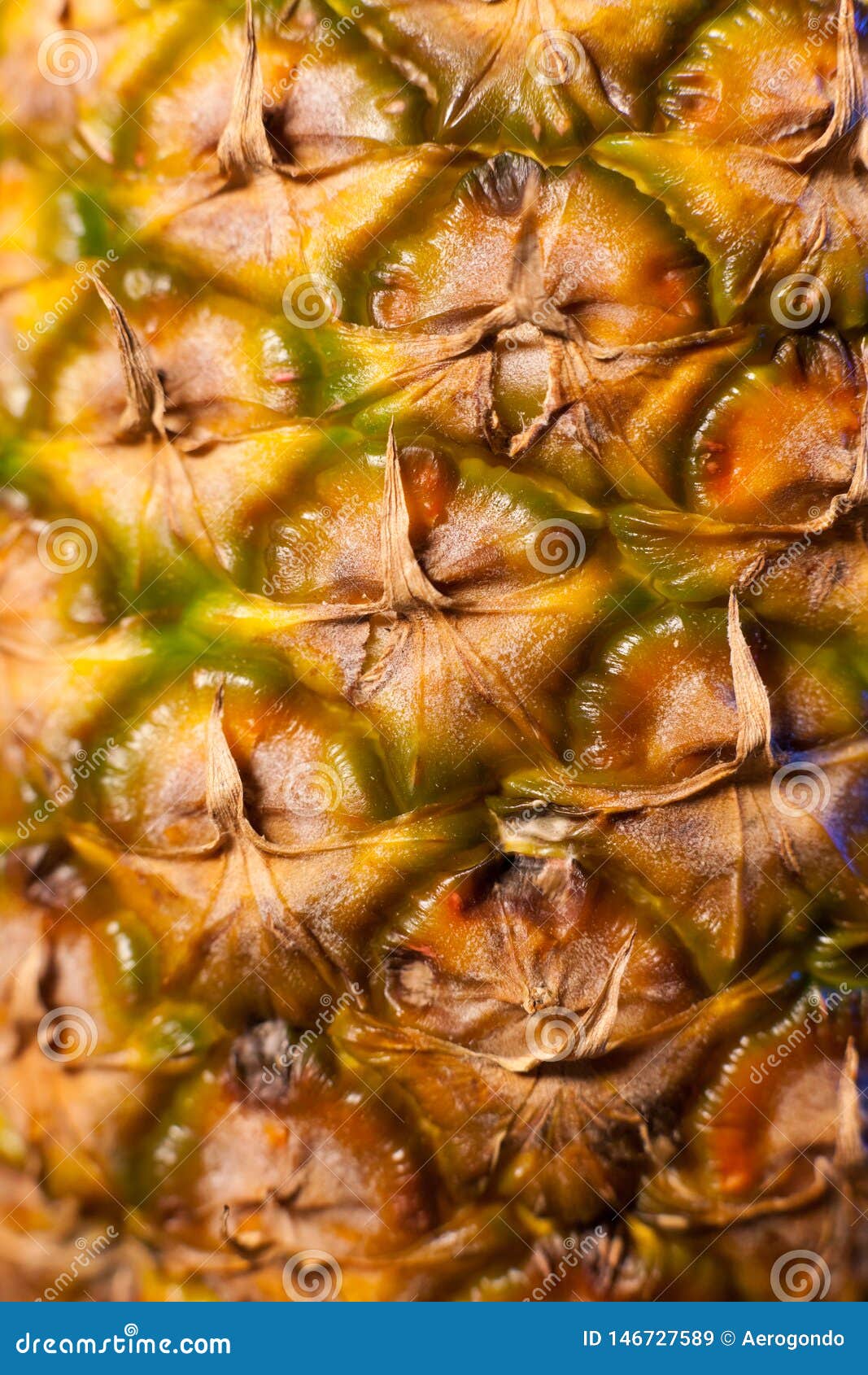 Pineapple texture stock image. Image of pattern, detail - 146727589