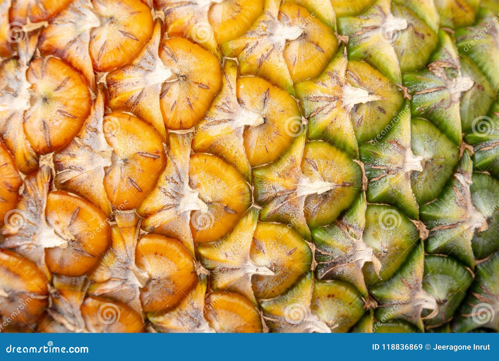 Pineapple Texture Background Royalty-Free Stock Photography ...