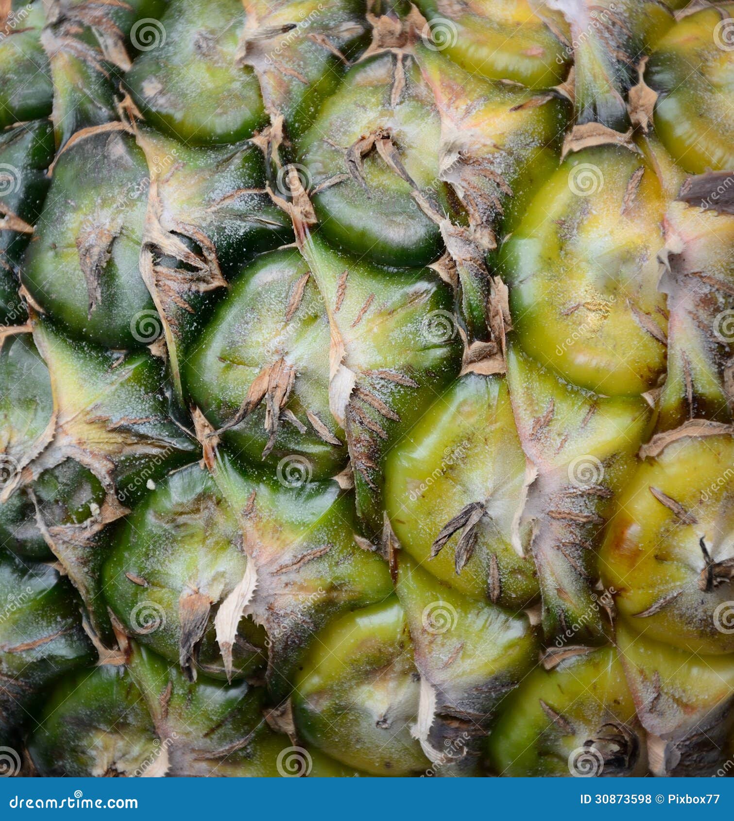 Close Up of Pineapple Texture Stock Photo - Image of botany, sweet ...