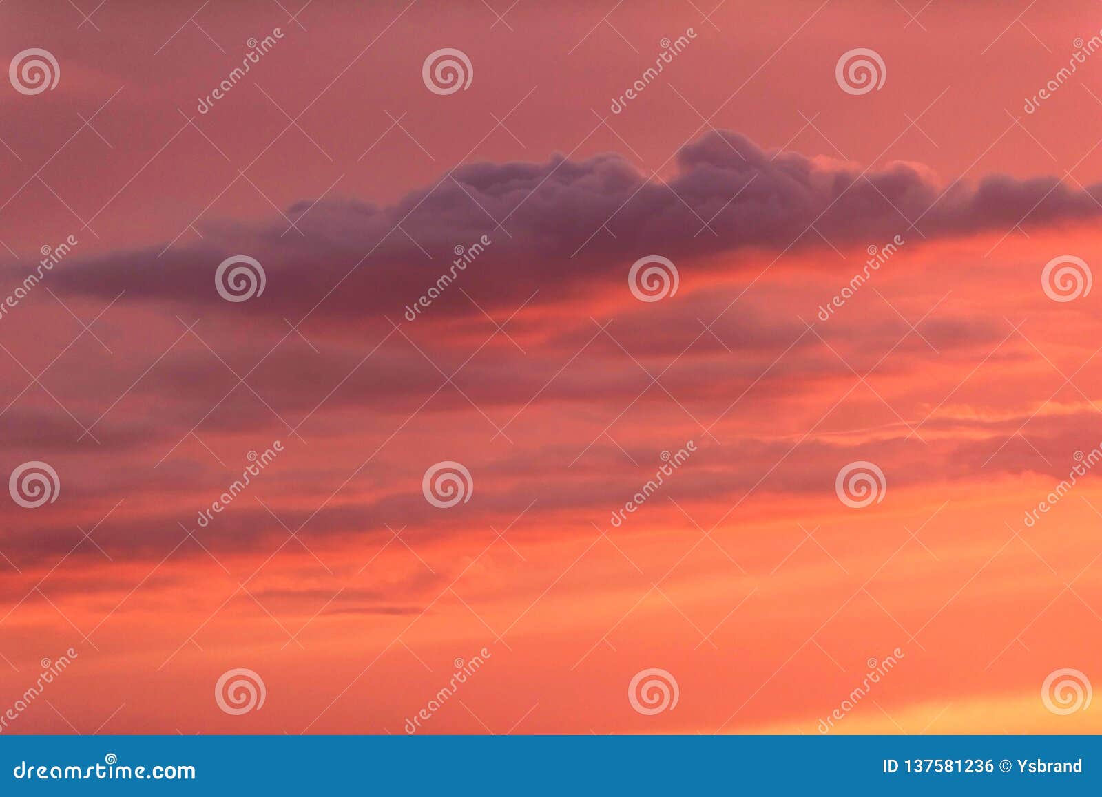 Close-up of Pink Coloured Clouds. Stock Photo - Image of light, clouds ...