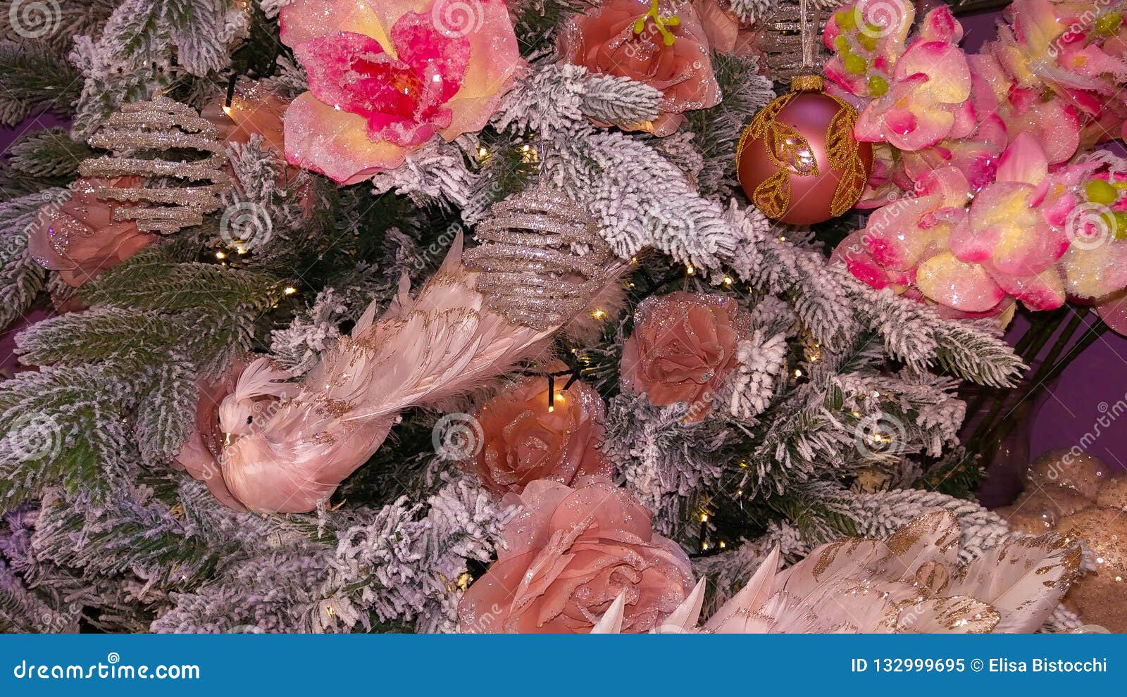 Close Up of Pink Peacock on Christmas Tree Stock Image - Image of ...