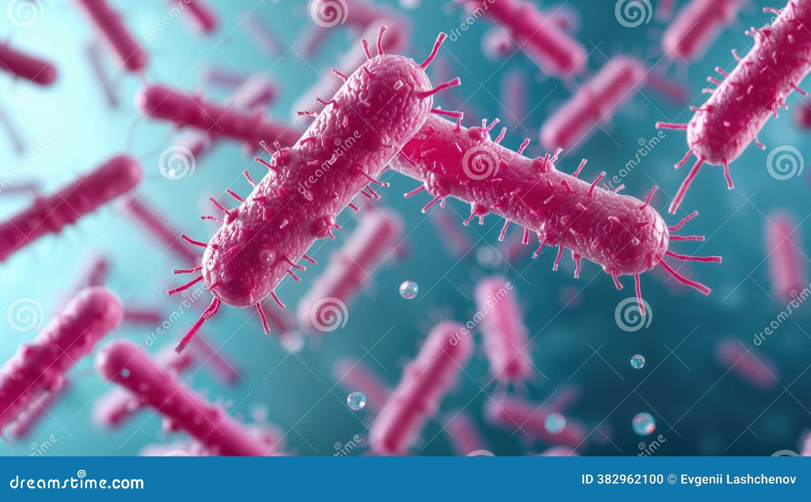 Rod-shaped Bacteria In Motion Stock Photo | CartoonDealer.com #338277222