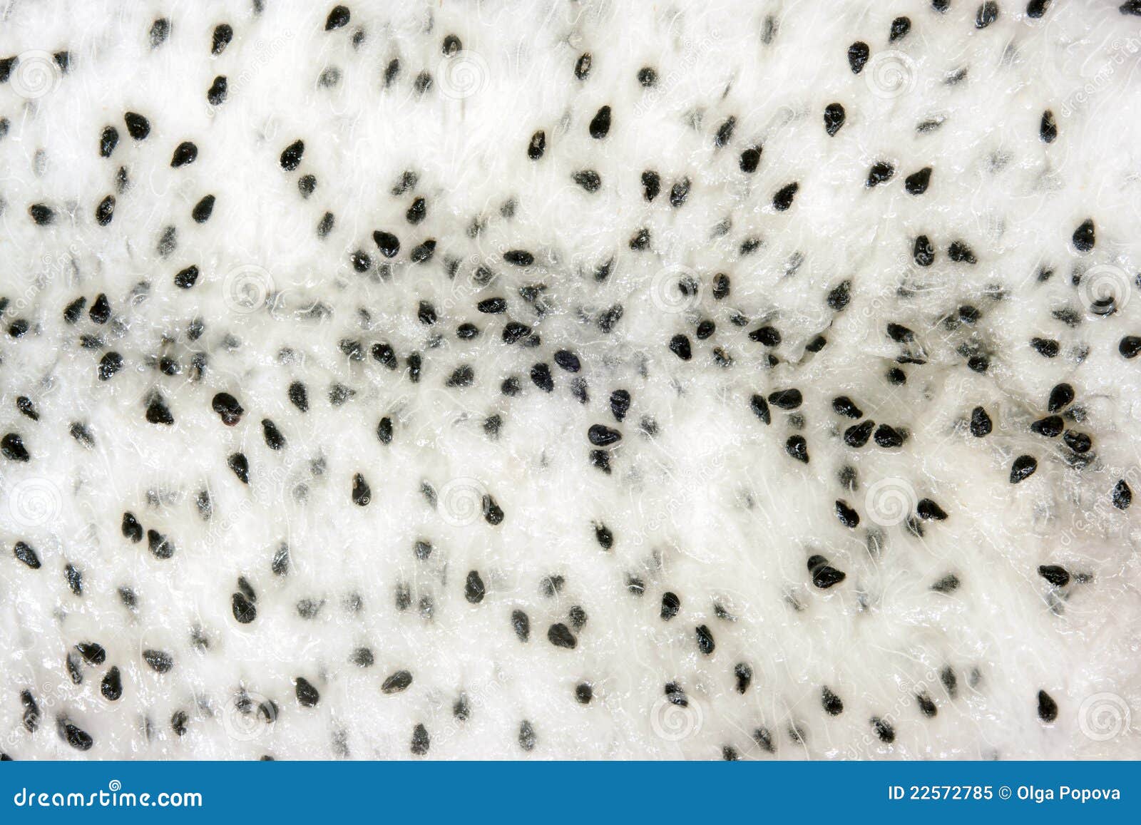 Close Up of a Pitaya - Dragon Fruit Stock Image - Image of nature, food ...