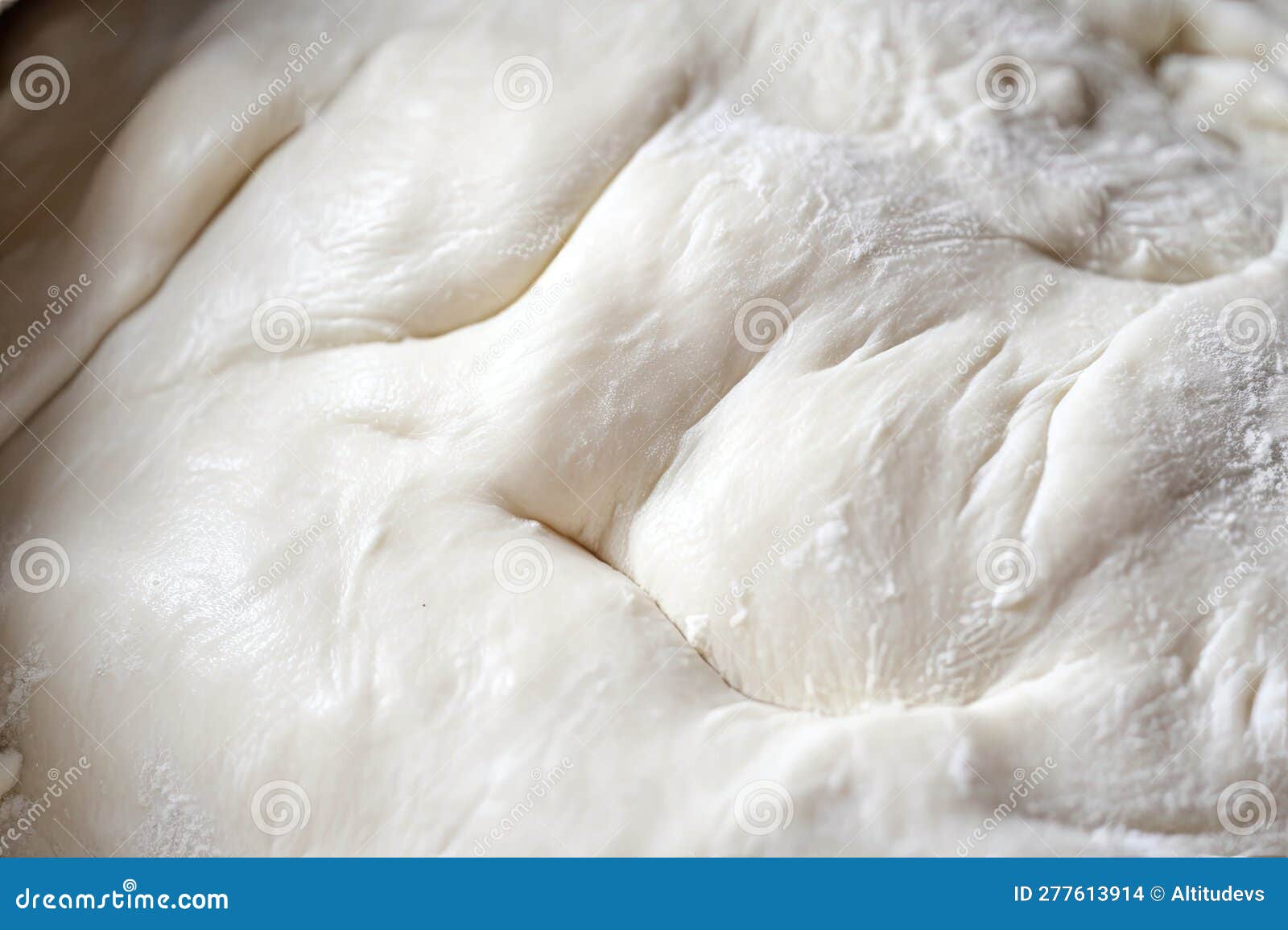 Close-up of Pizza Dough, Showing Its Stretchy and Chewy Texture Stock ...