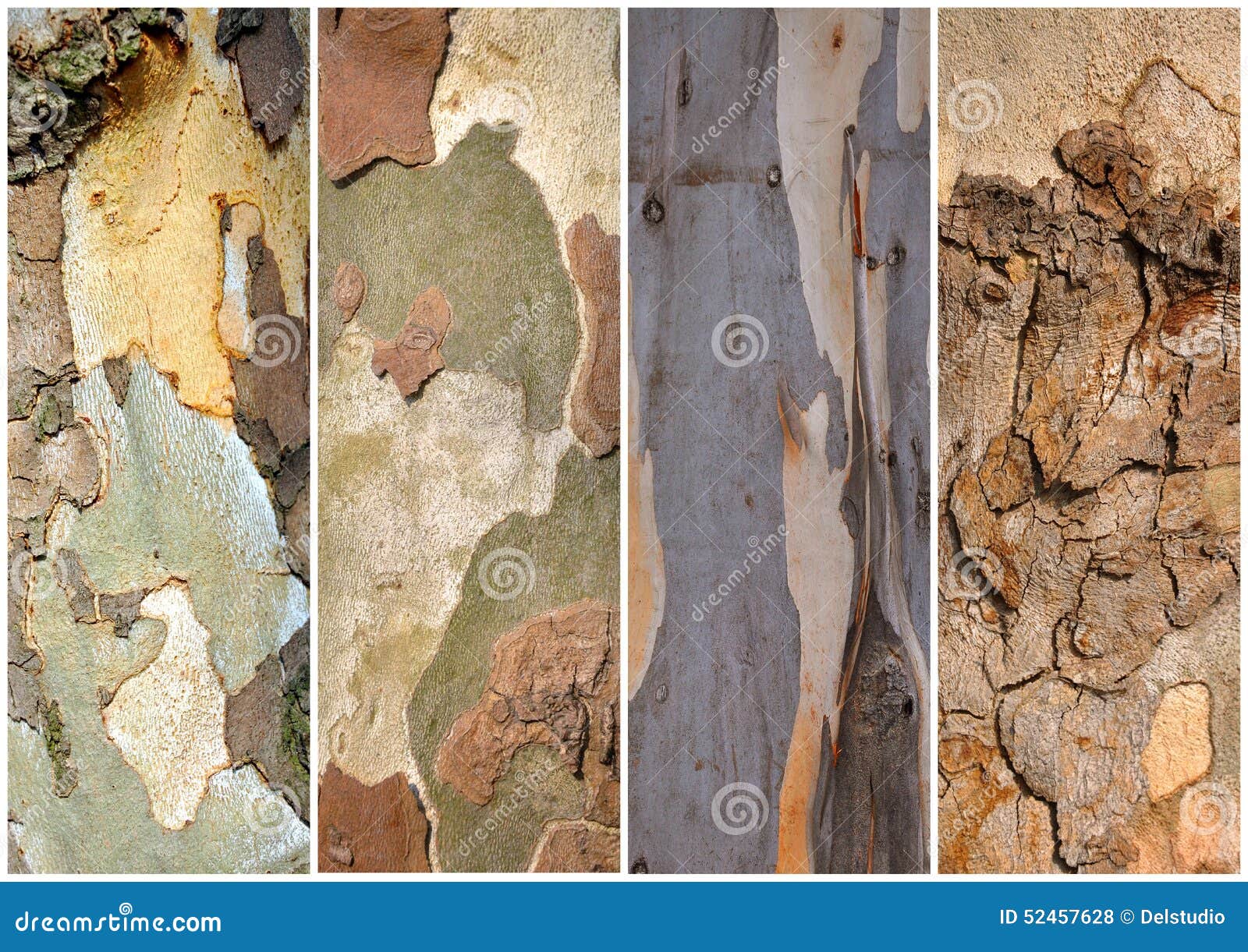 Big Tree Barks Details Beautiful Green Background Stock Photography ...