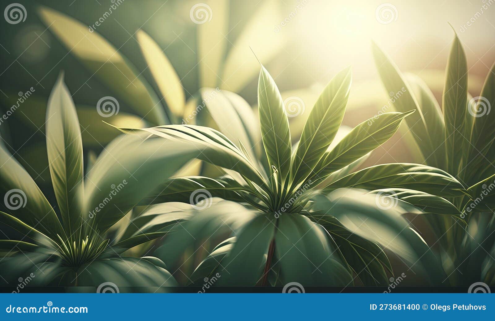 A Close Up of a Plant with a Bright Light in the Backround Behind the ...