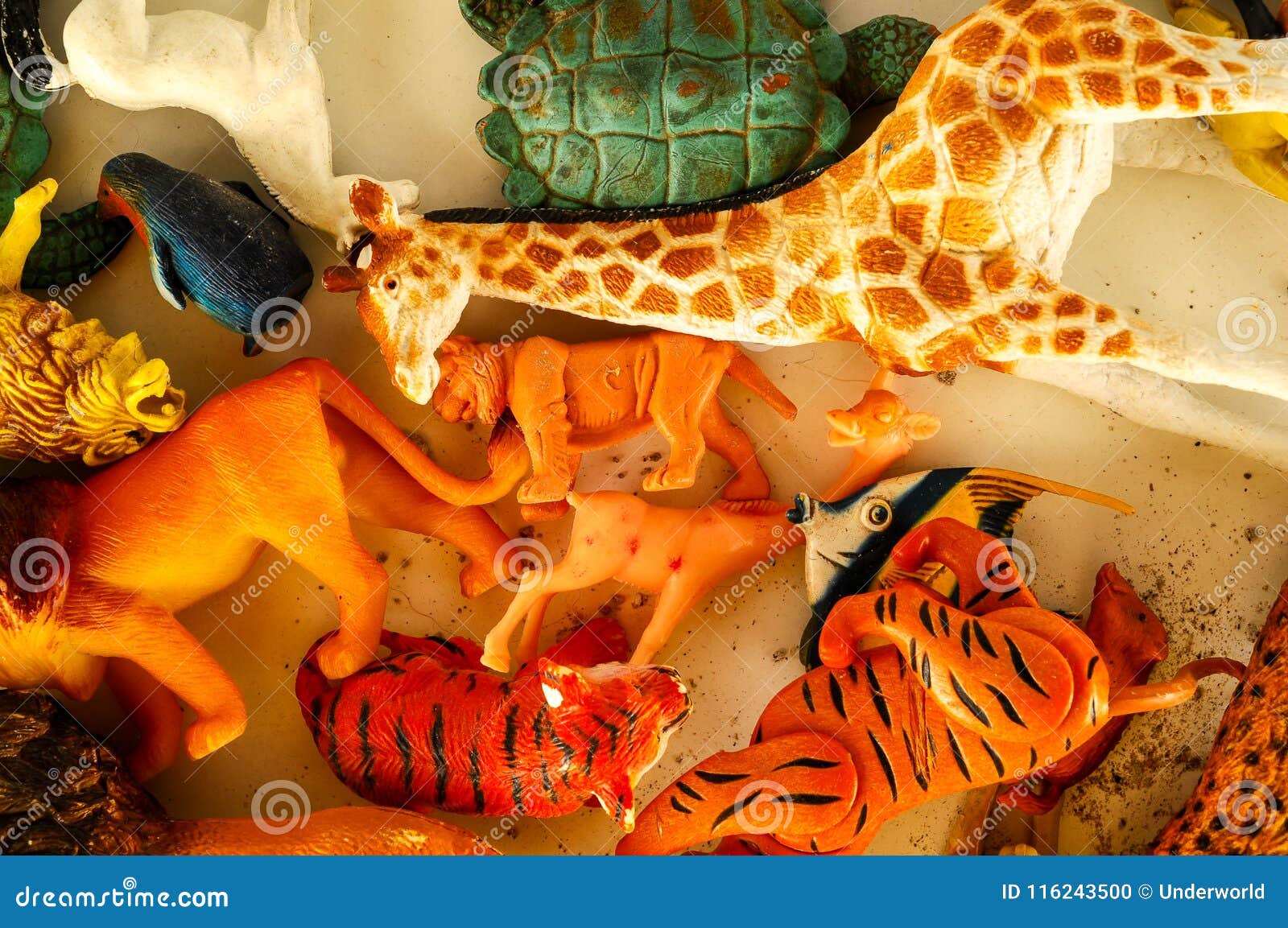 Close-up of plastic animal stock photo. Image of shot - 116243500