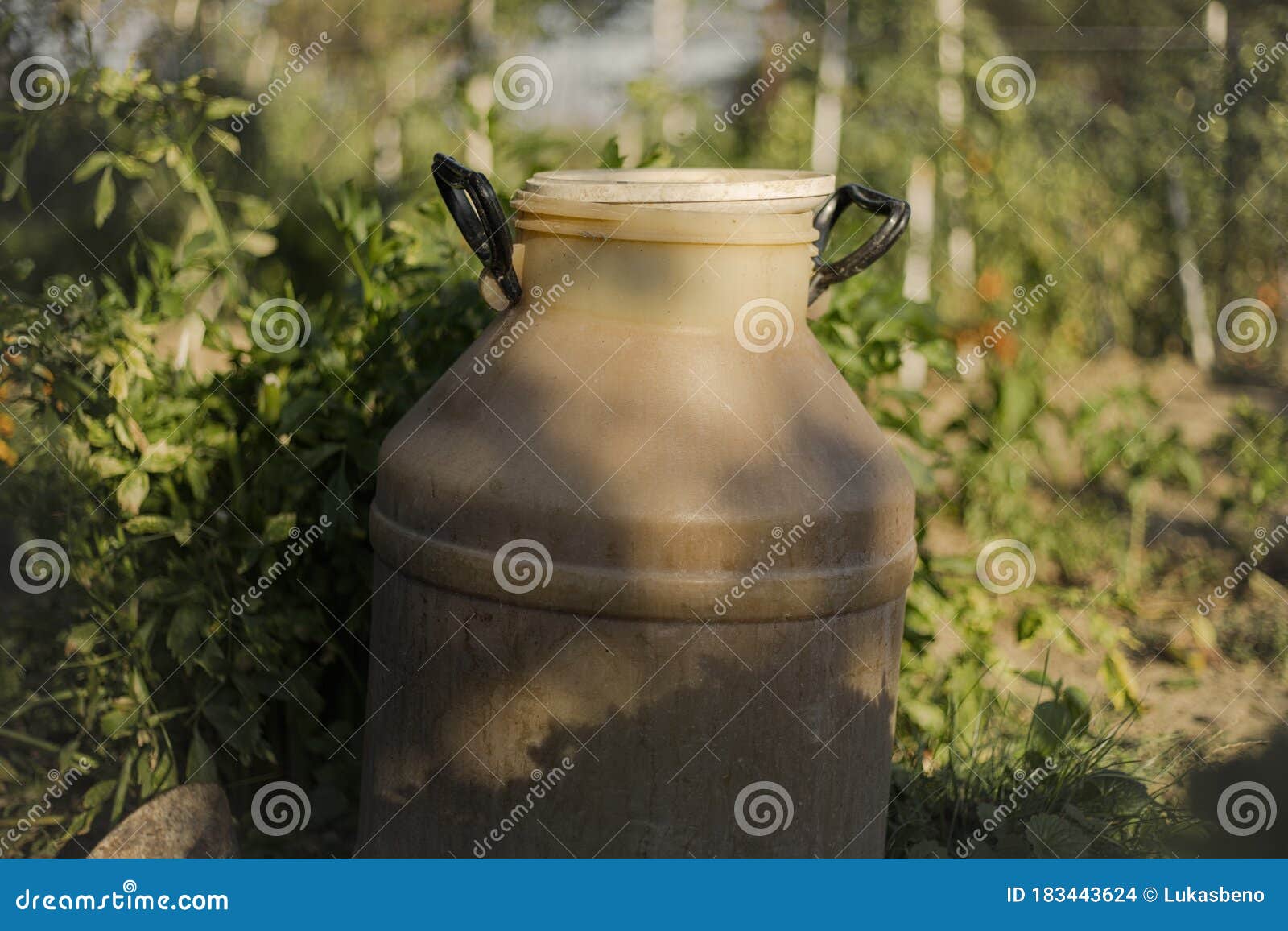 Close Up of Plastic Container for Liquid in the Garden. Old Dirty Water ...