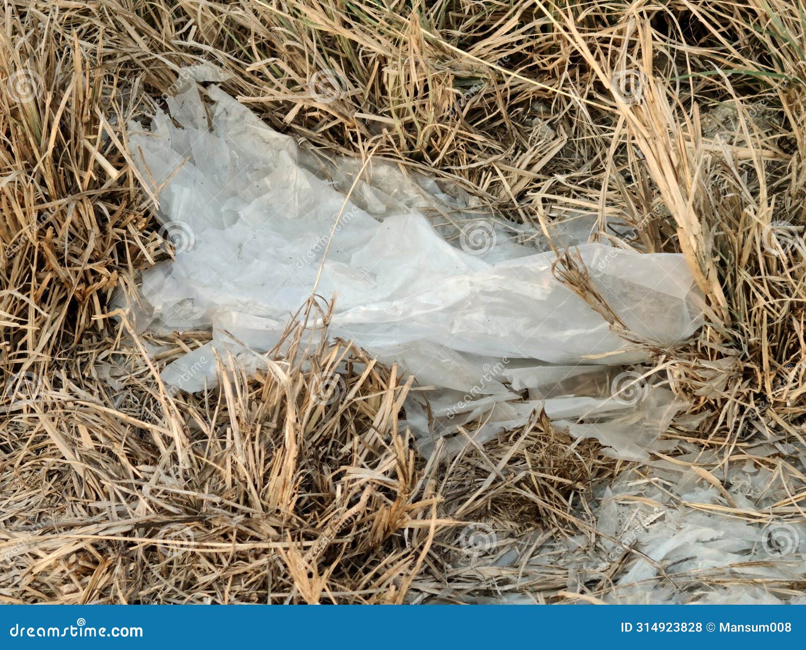 Plastic Pollution. Garbage in Nature Stock Photo - Image of pollution ...