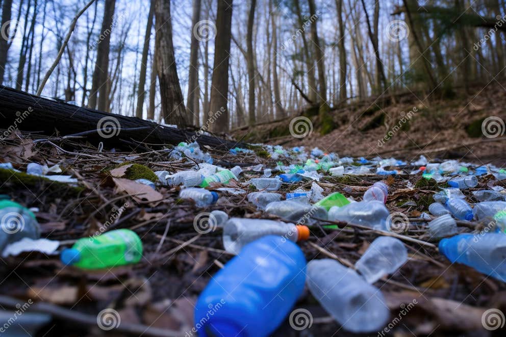 Close-up of Plastic Waste in a Forest Stock Illustration - Illustration ...