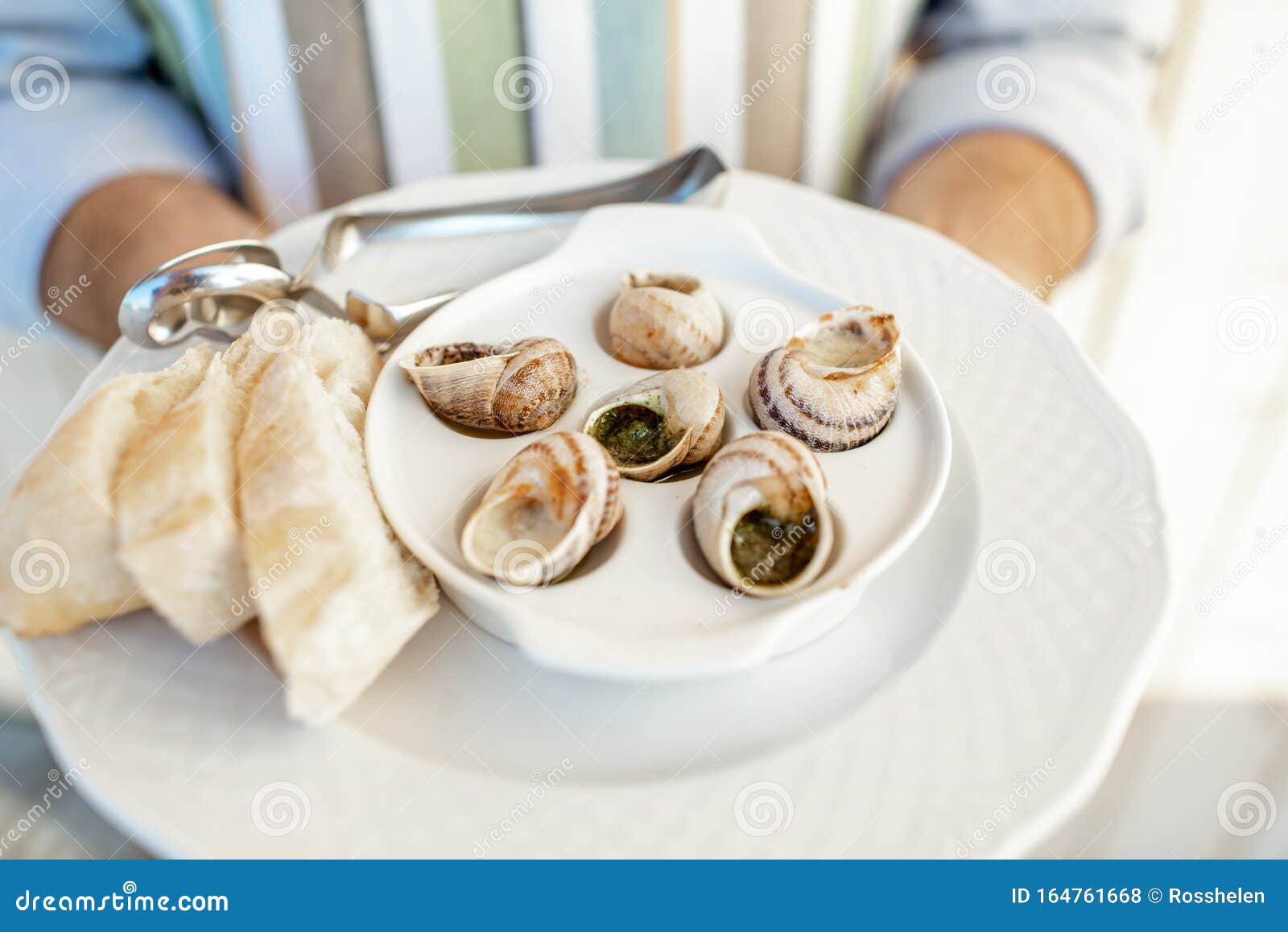 Close-up of a Plate with Stuffed Snails Stock Photo - Image of mollusk ...