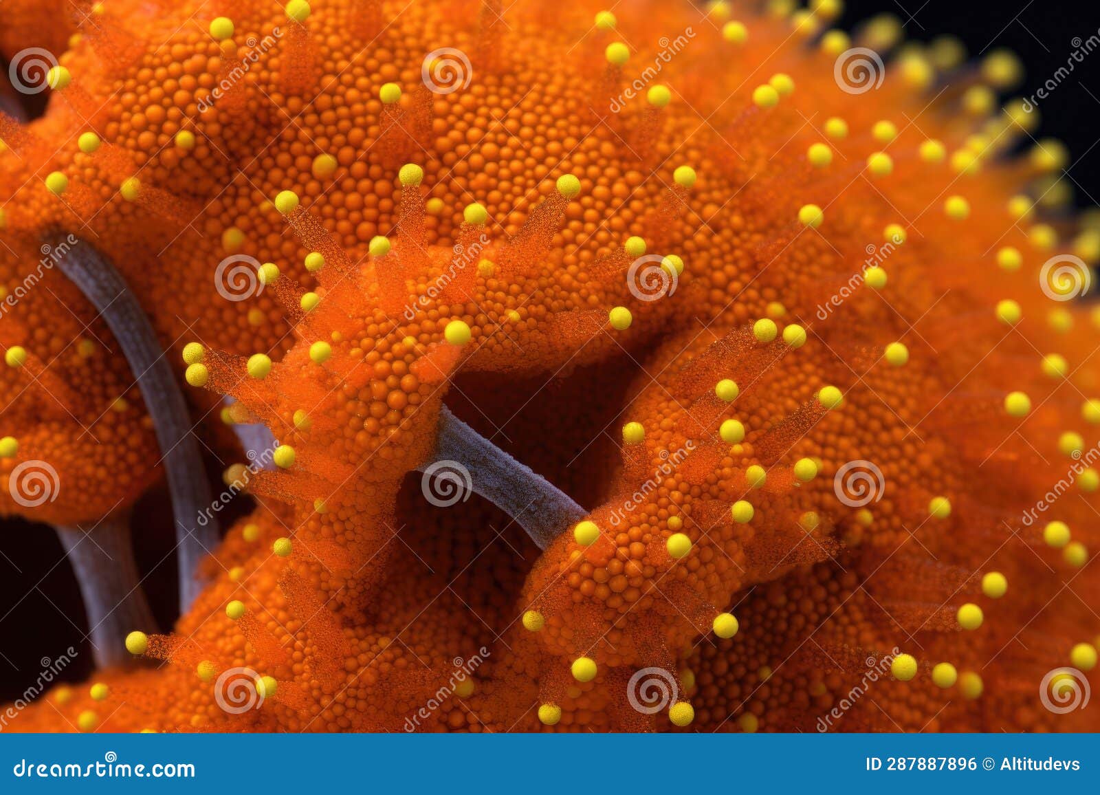 Close-up of Pollen Grains on Flower Stigma Stock Illustration ...