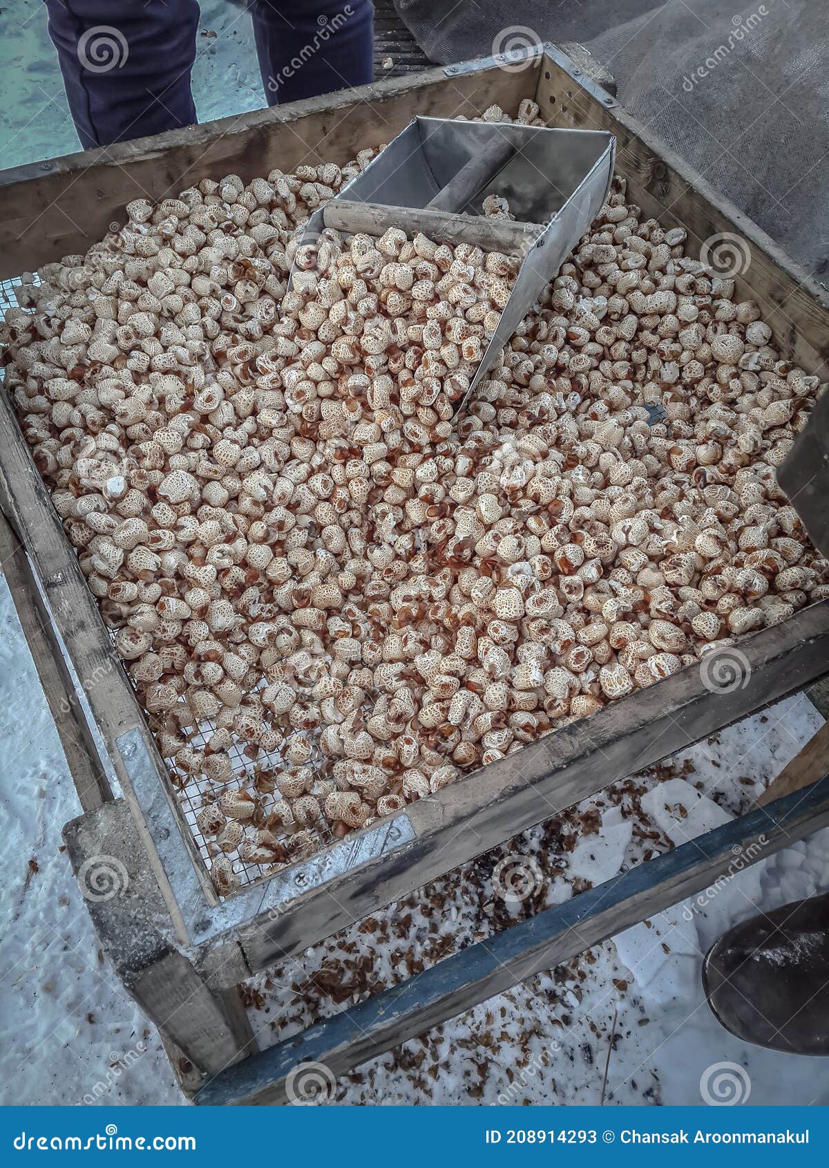 Traditional Popcorn in China. Stock Image - Image of asia, rural: 208914293