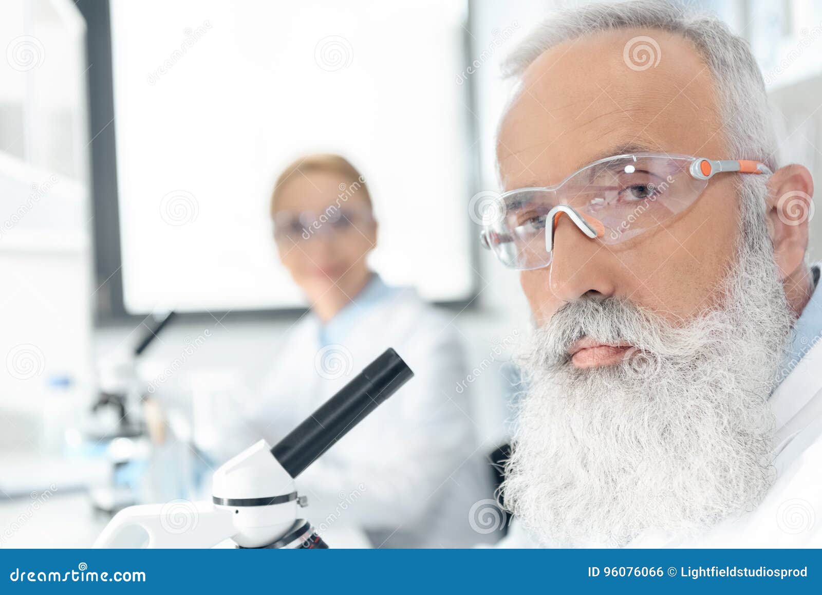 Close-up Portrait of Bearded Senior Scientist Working with Microscope ...