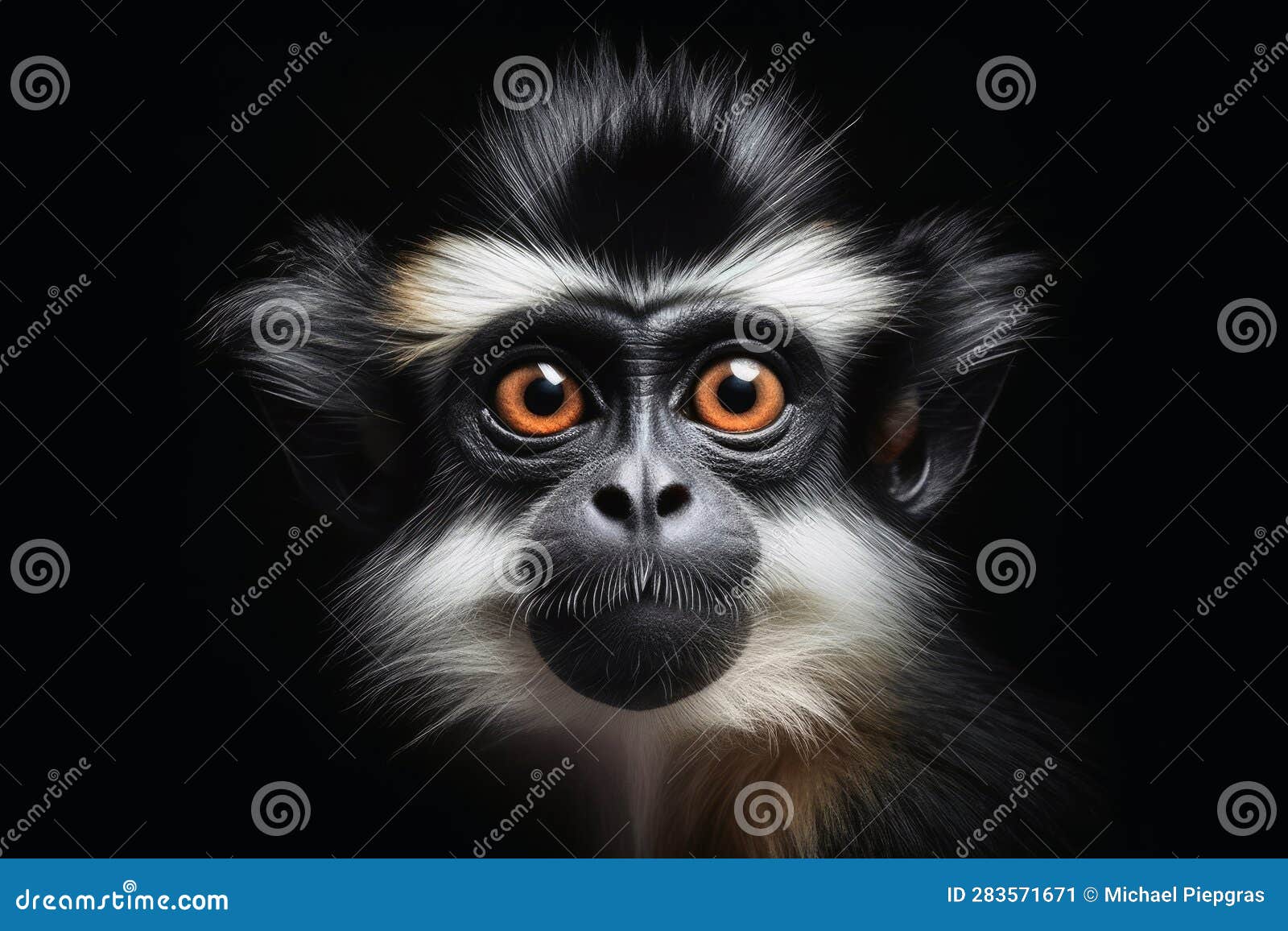 A Close Up Portrait of Mesmerizing Ape Photography Created with ...