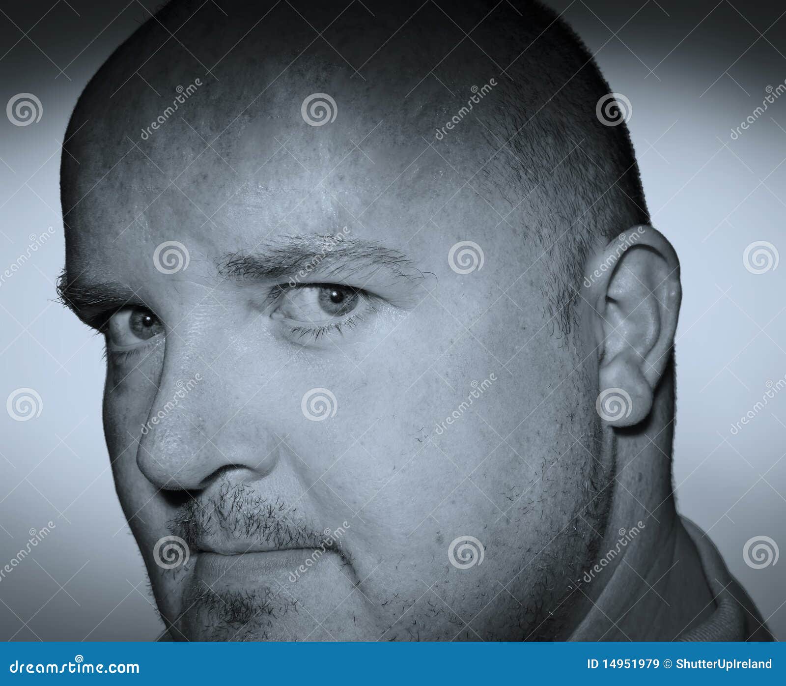 Close Up Portrait Picture of Male Head Expression Stock Image - Image ...
