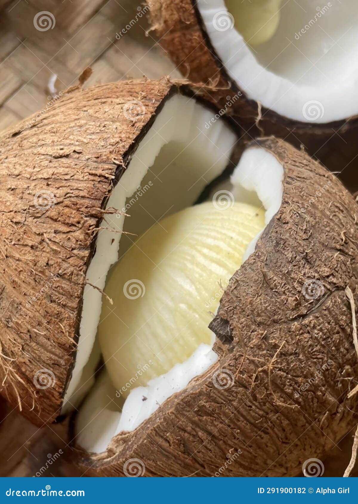 Close Up Portrait of a Ripe Coconut Stock Photo - Image of ripe ...
