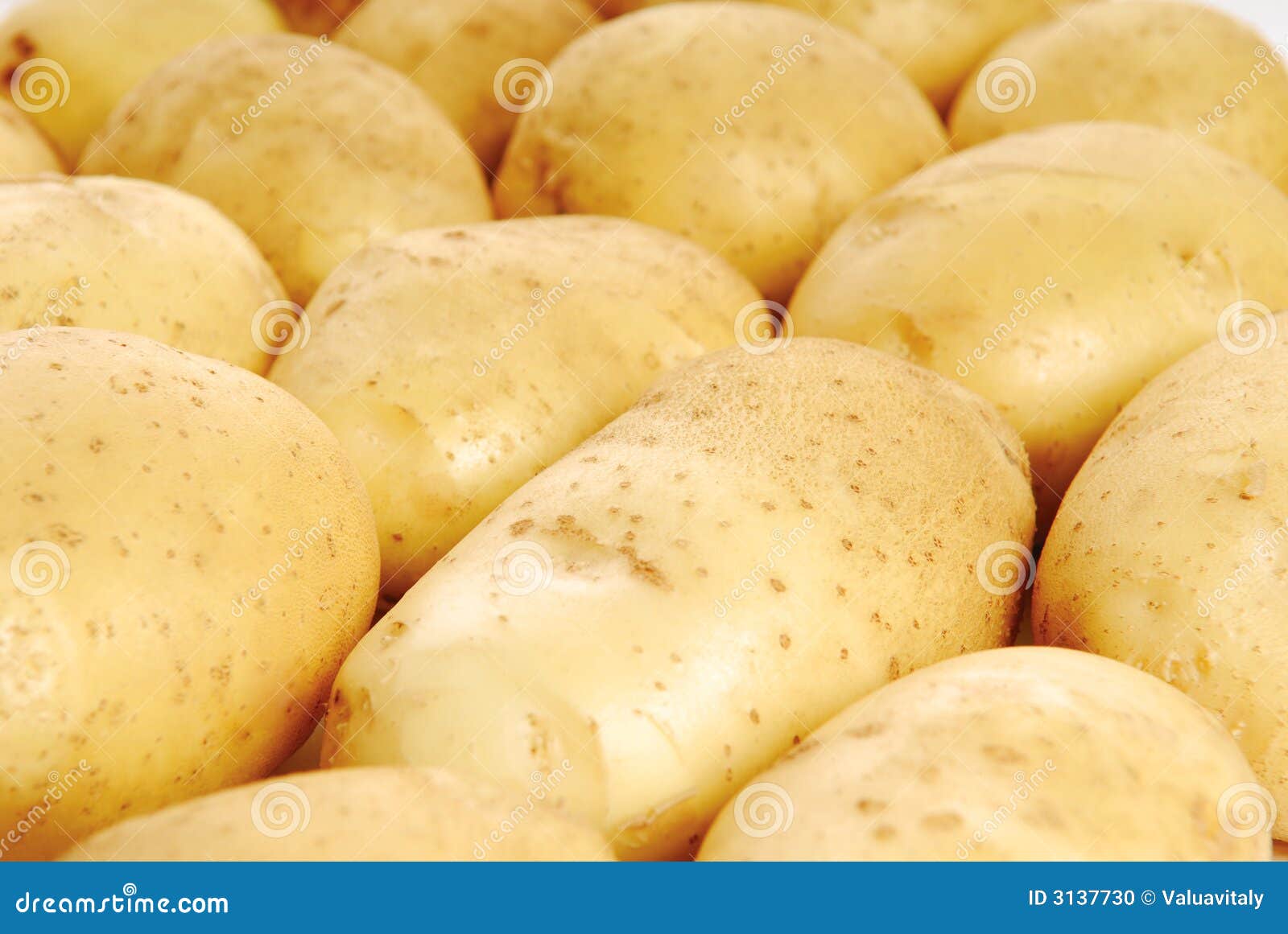 Close up potato stock photo. Image of heap, prepared, cocking - 3137730