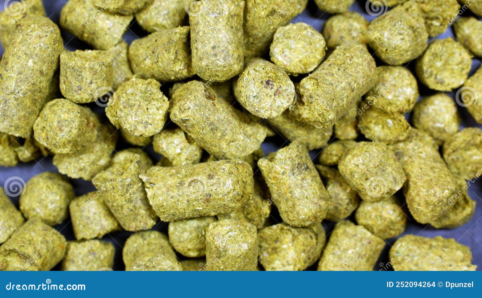 Close Up of Pressed Hop Pellets Stock Photo - Image of pressed, soil ...
