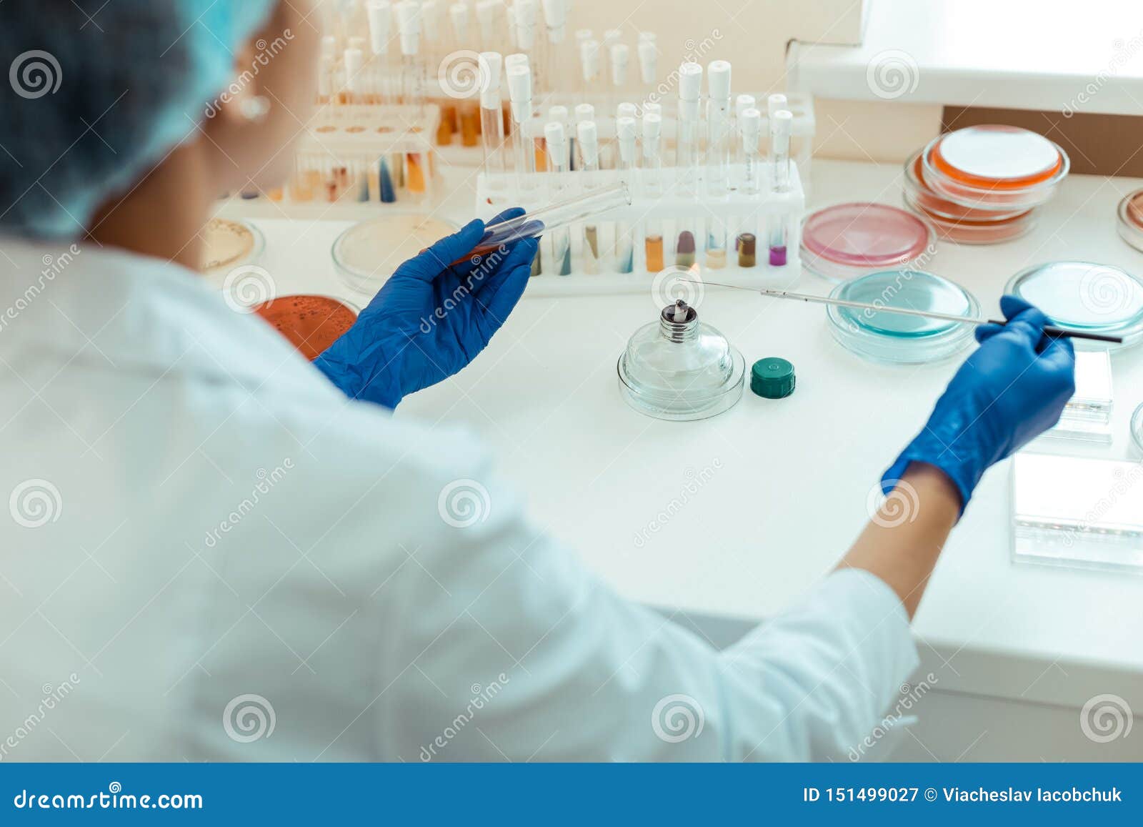 Close Up of a Process of Lab Tests Stock Image - Image of medic ...