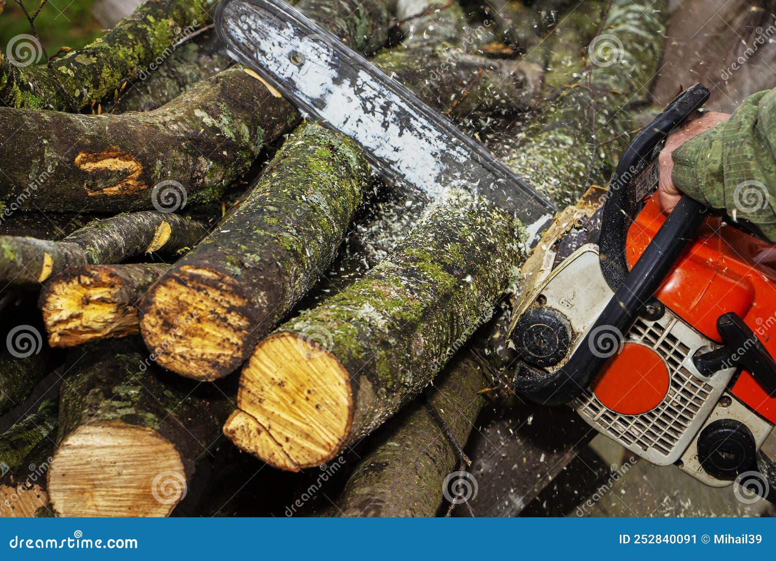 Close-up Professional Chainsaw Blade Cutting Log of Wood. Stock Image ...