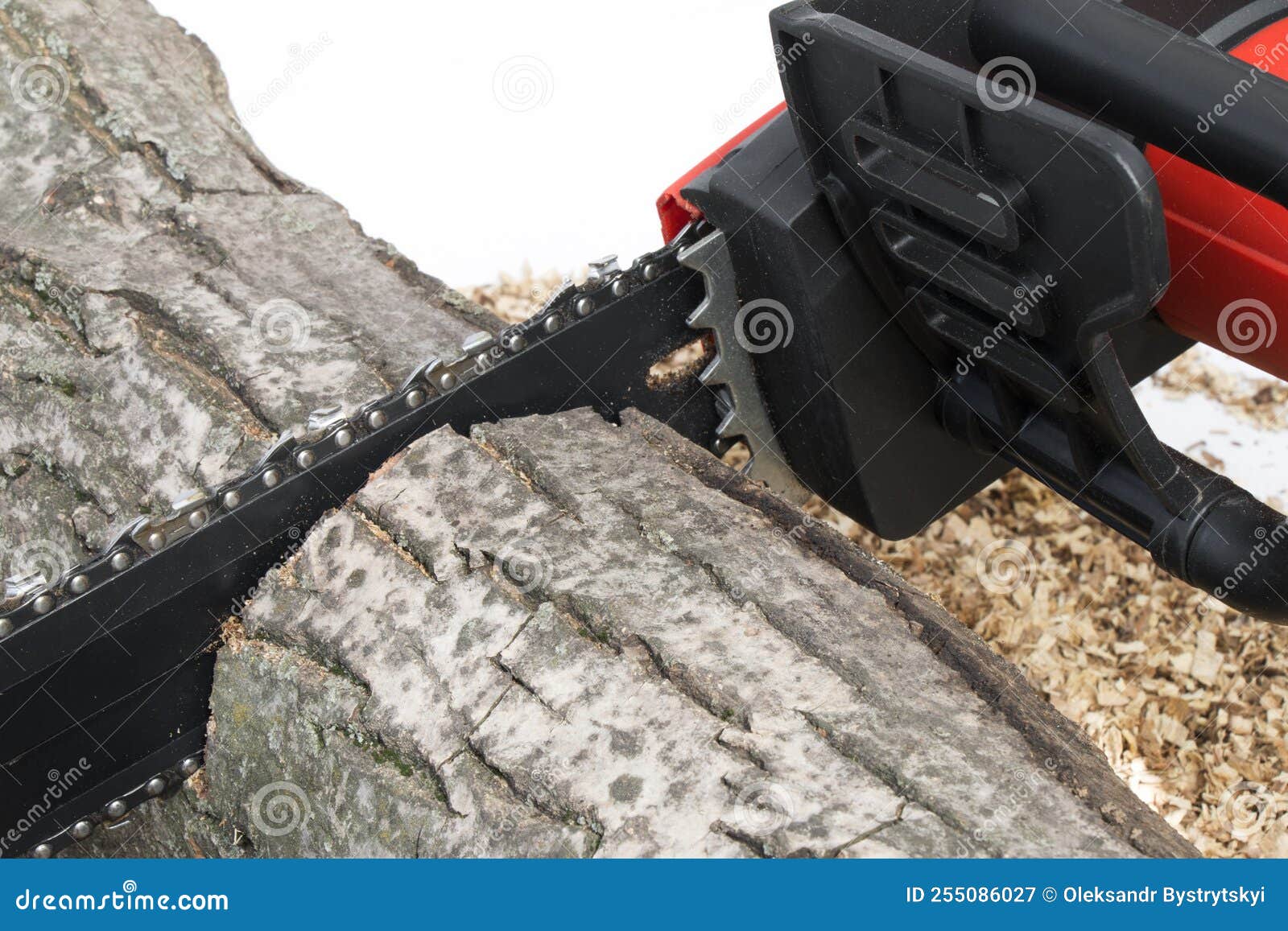 Professional Chainsaw Blade Cutting Log of Wood Stock Image - Image of ...