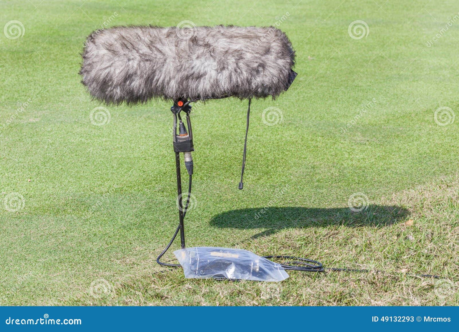 Close-up the Professional Sport Microphone Stock Image - Image of hairy ...