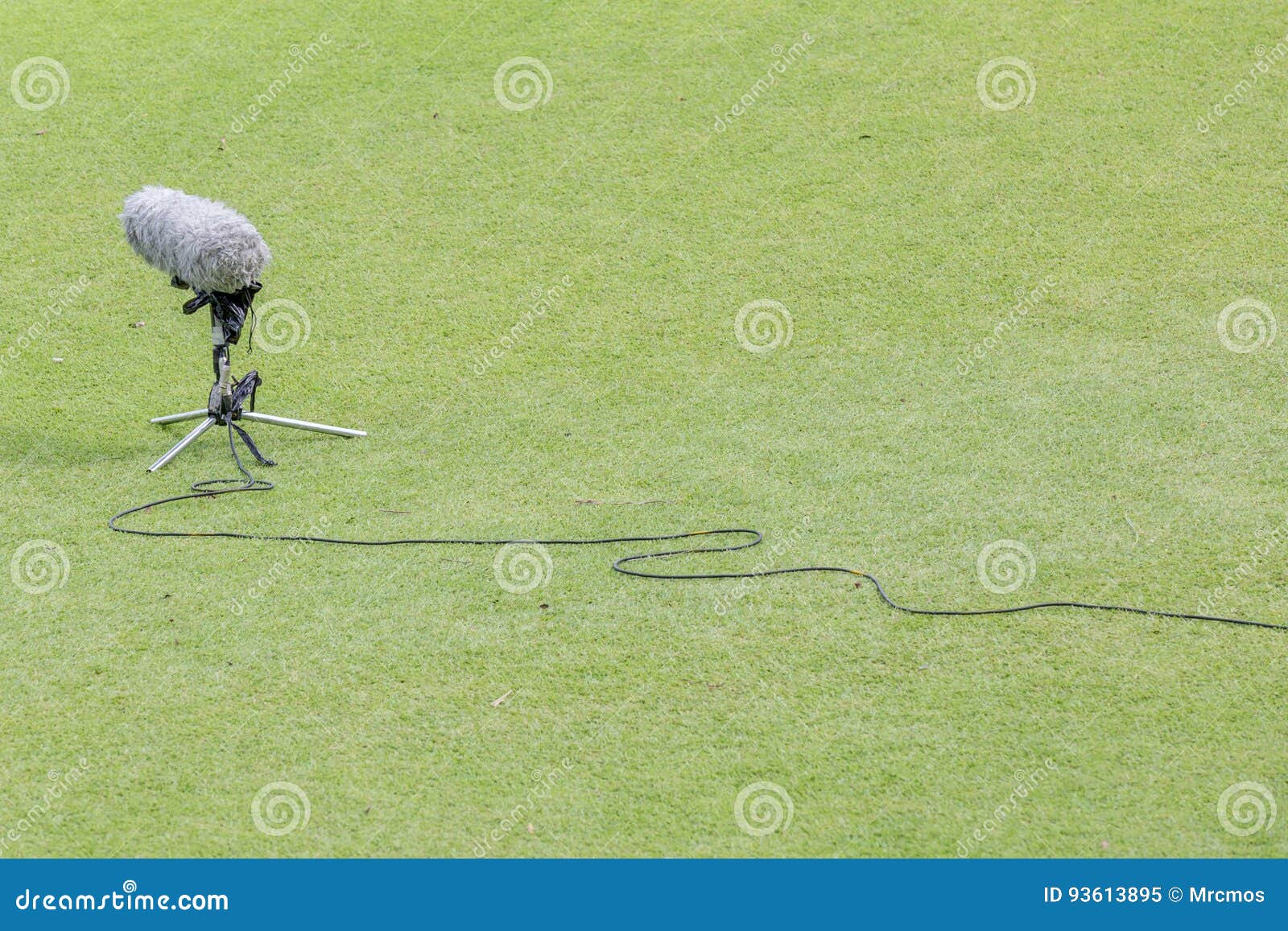 Close-up the Professional Sport Microphone and Set Situated on T Stock ...