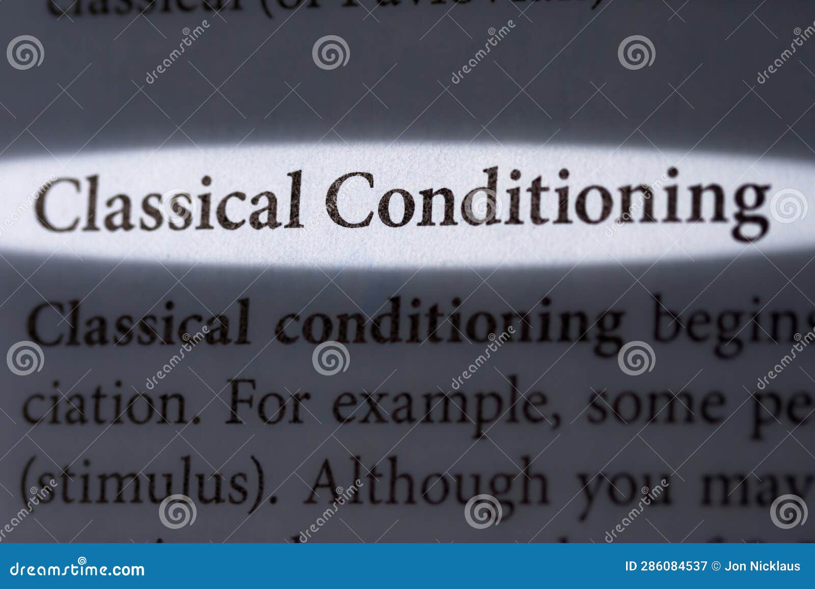 Dog Training Line Drawing Logo Stock Photos - Free & Royalty-Free Stock ...