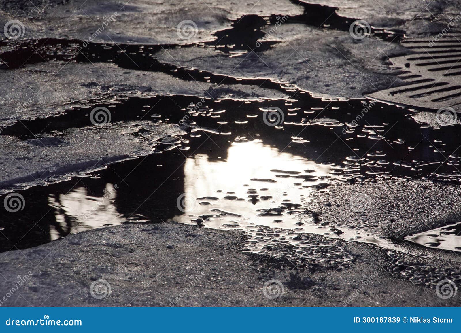 Close up of a puddle stock image. Image of ground, horizon - 300187839
