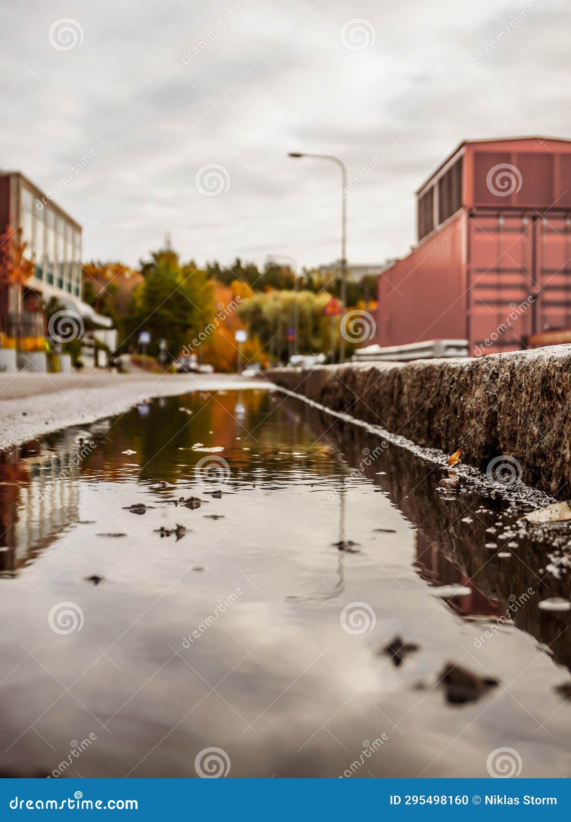 Close Up of a Puddle on Street Stock Photo - Image of covered, street ...