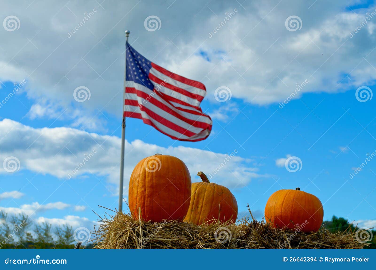 Close Up Pumpkins with American Flag Stock Photo - Image of gourd ...