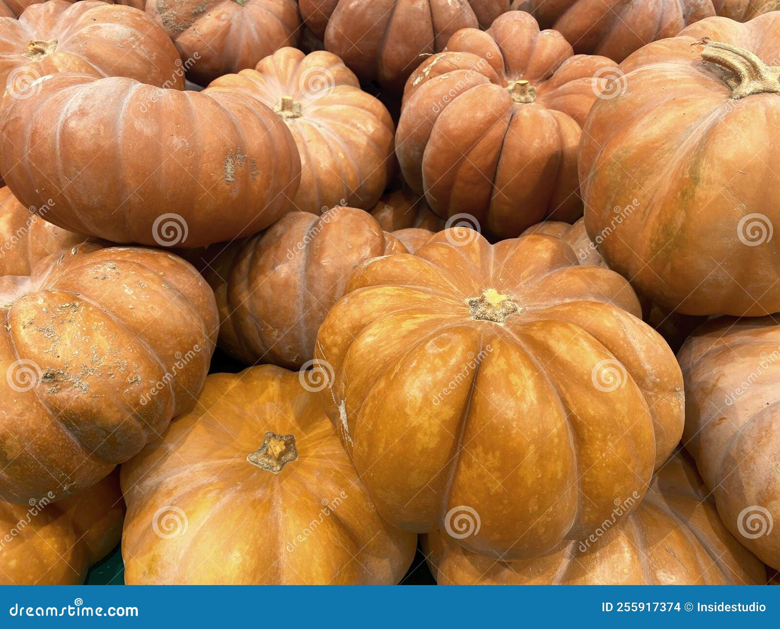 Close-up of Pumpkins at the Bazaar. Background. Texture. Stock Photo ...