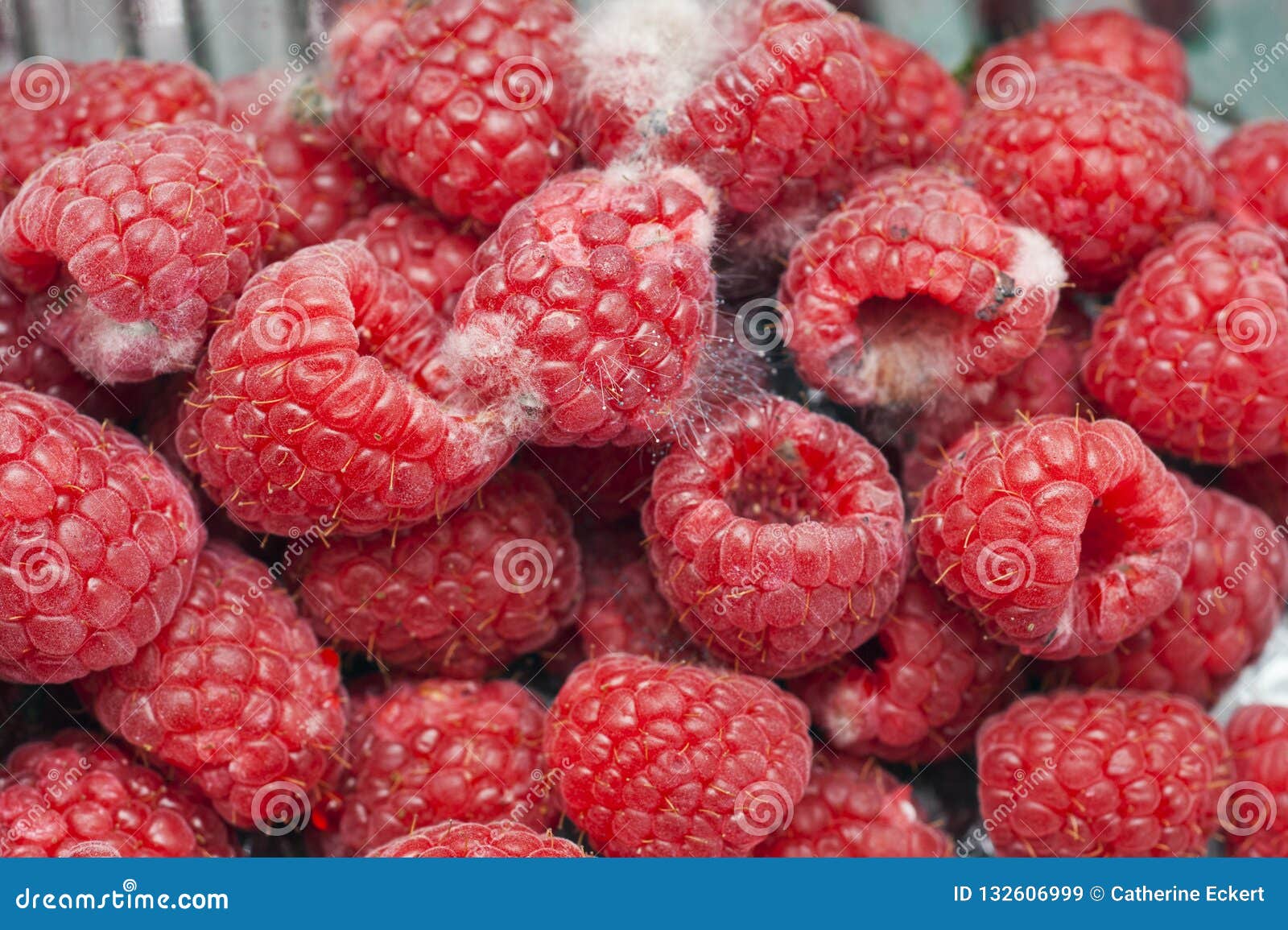 A Punnet of Expired Raspberry Fruit Stock Image - Image of closeup ...