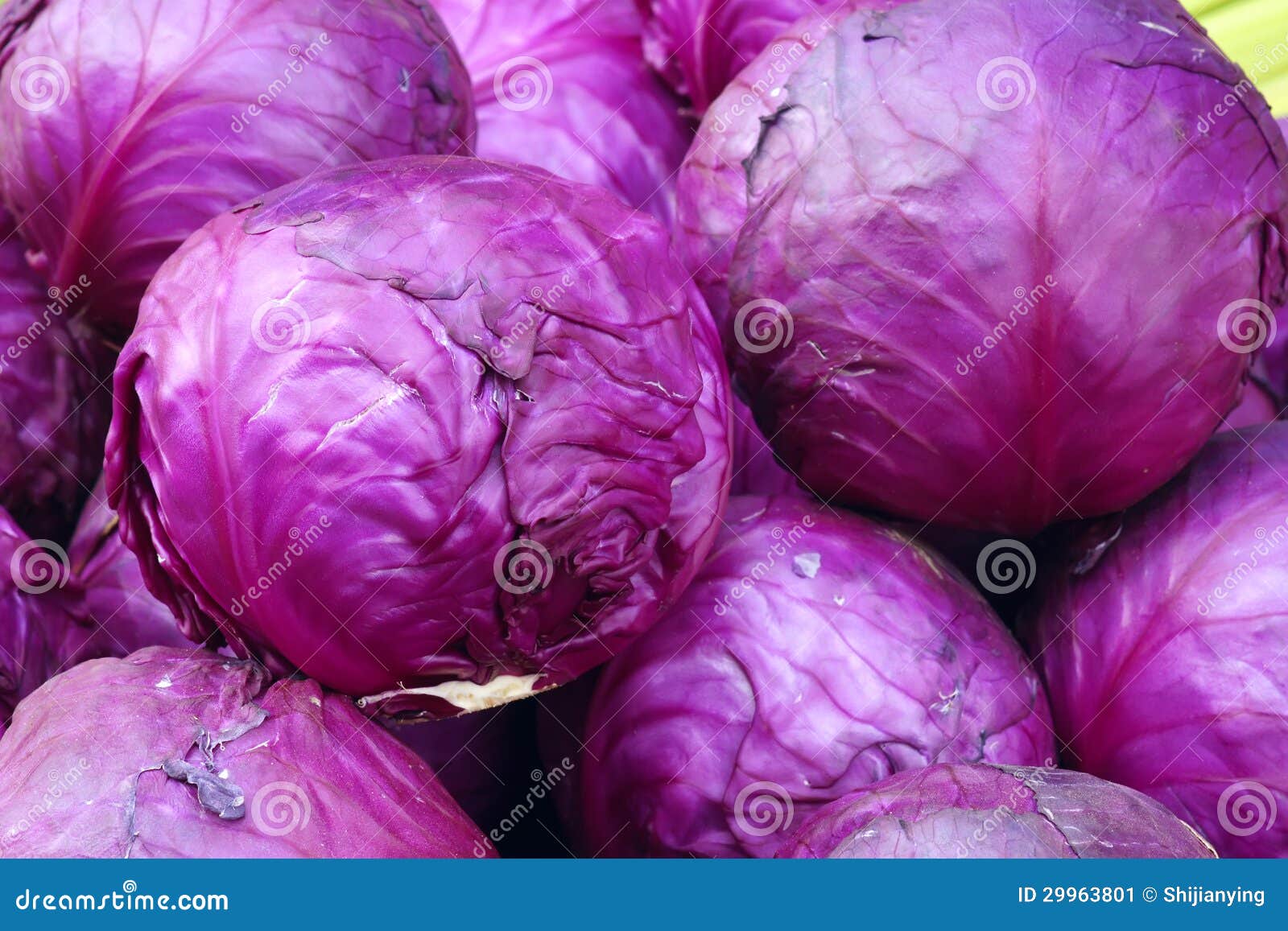 Purple cabbage stock image. Image of eating, edible, greenstuff - 29963801