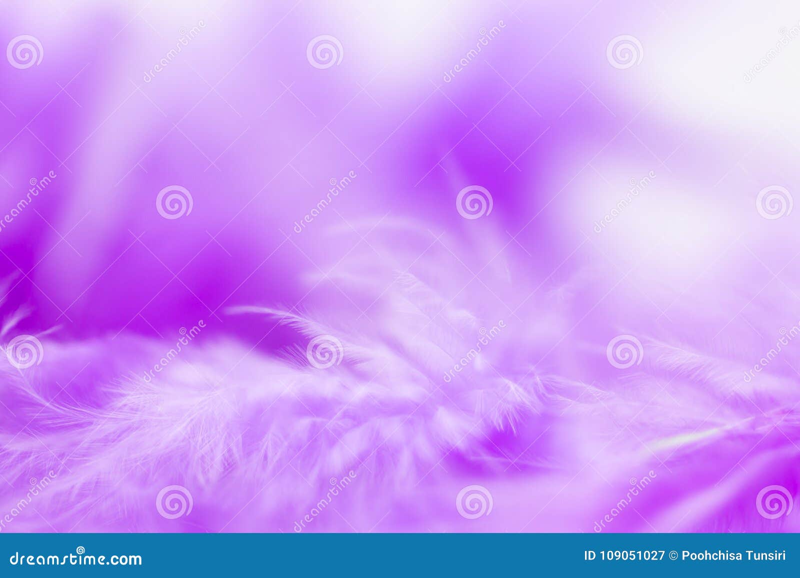 5,672 Purple Wing Abstract Stock Photos - Free & Royalty-Free Stock ...