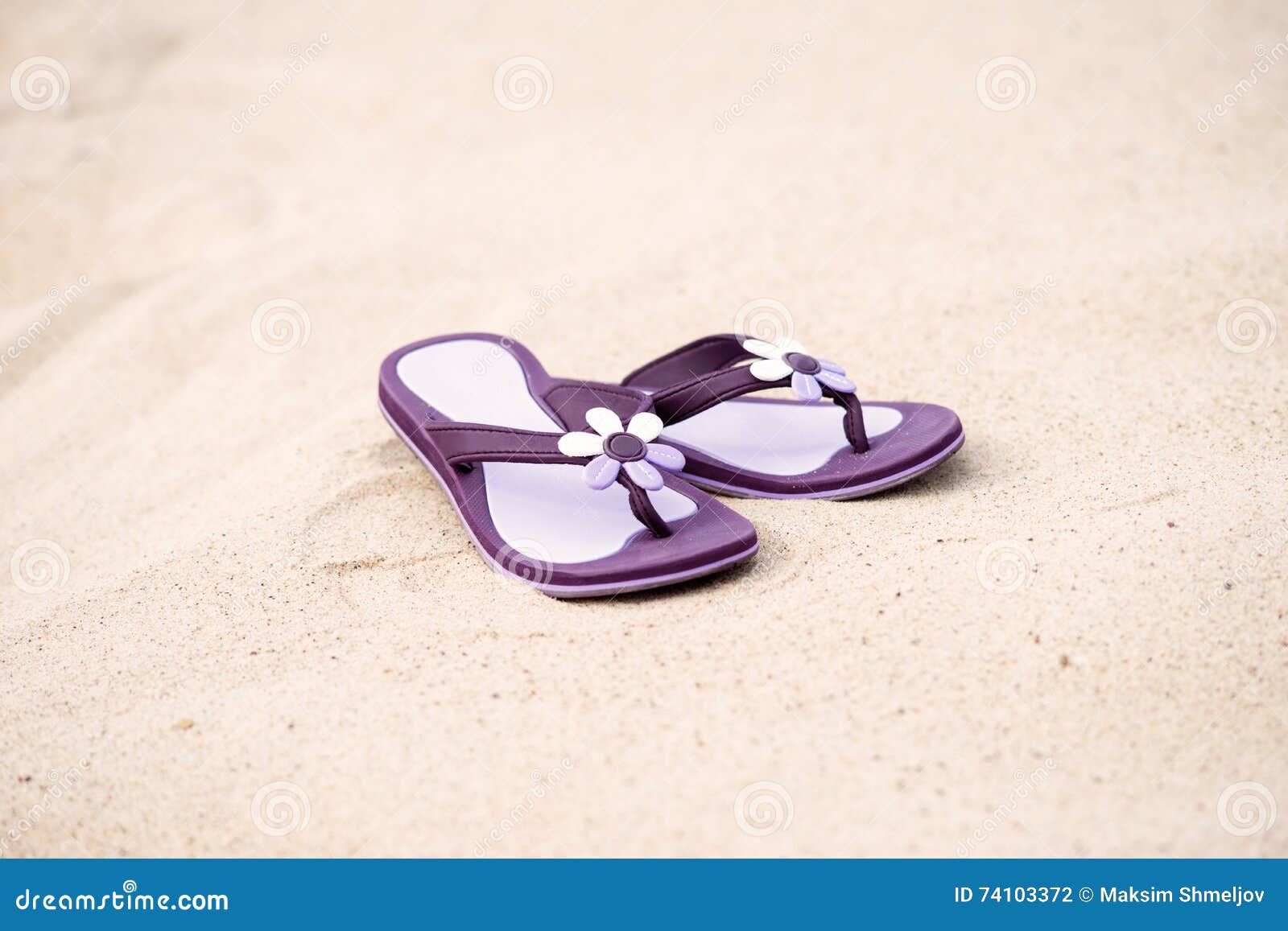 Close-up of Purple Flip-flops on the Sand Stock Photo - Image of ...