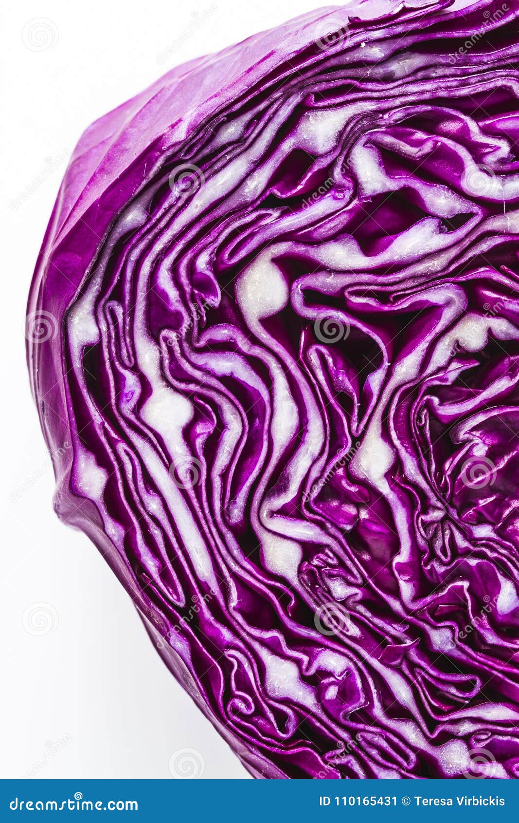 Close Up of Purple Red Cabbage Head Stock Image - Image of abstract ...
