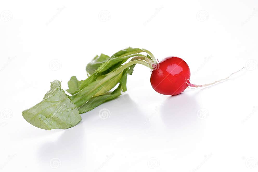 Close Up of Raddish on White Background Stock Photo - Image of ...