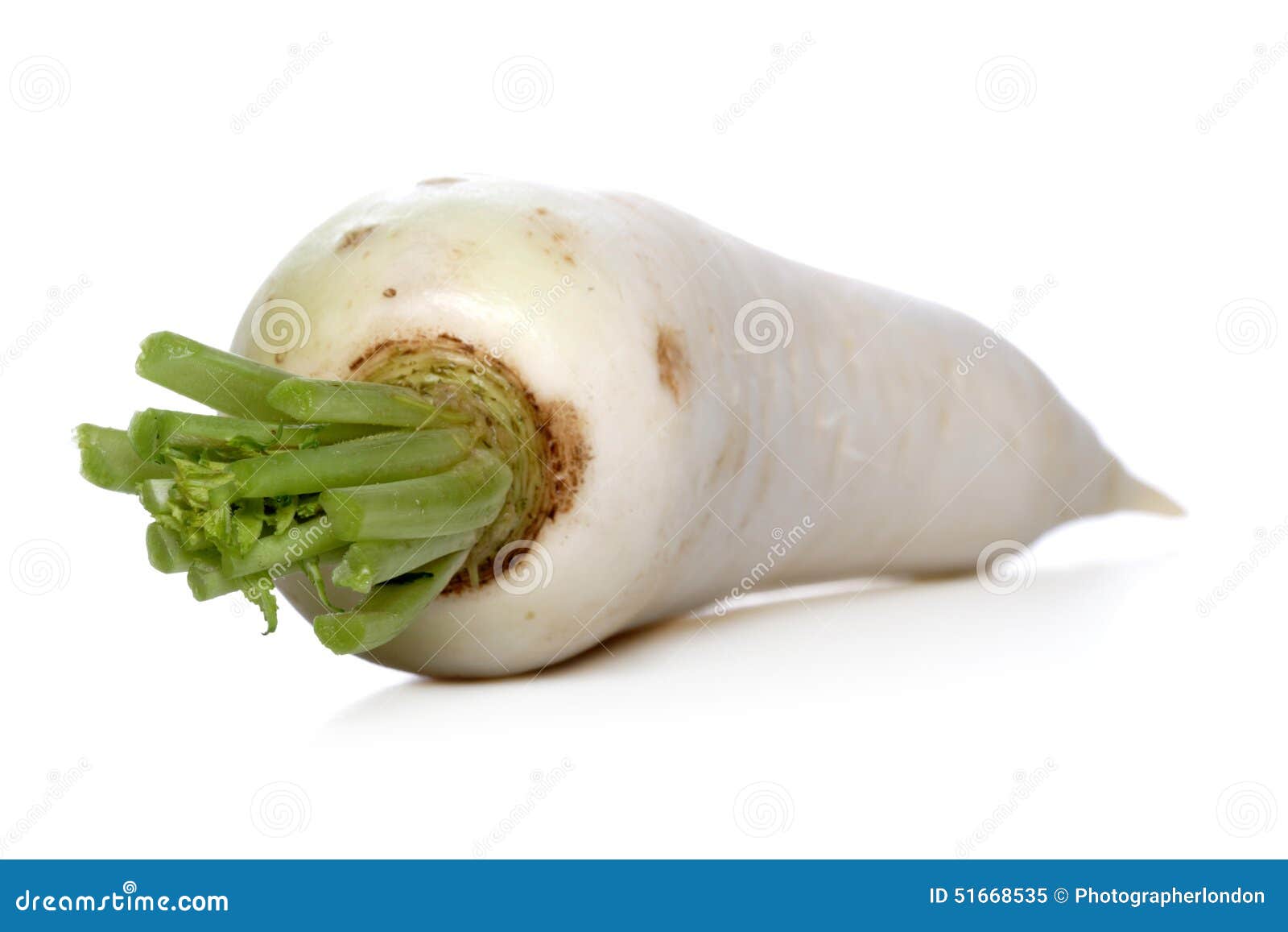 Close-up of Raddish on White Background Stock Image - Image of white ...