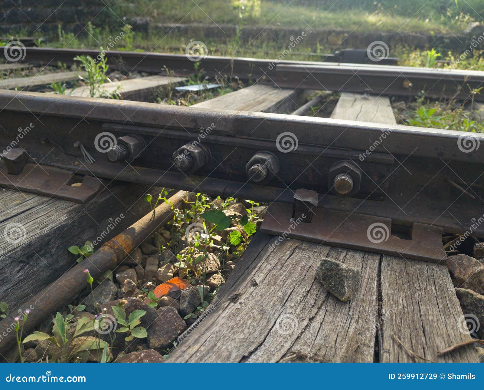 Close-up of Railroad Rail Joint or Connection with Grass Stock Image ...