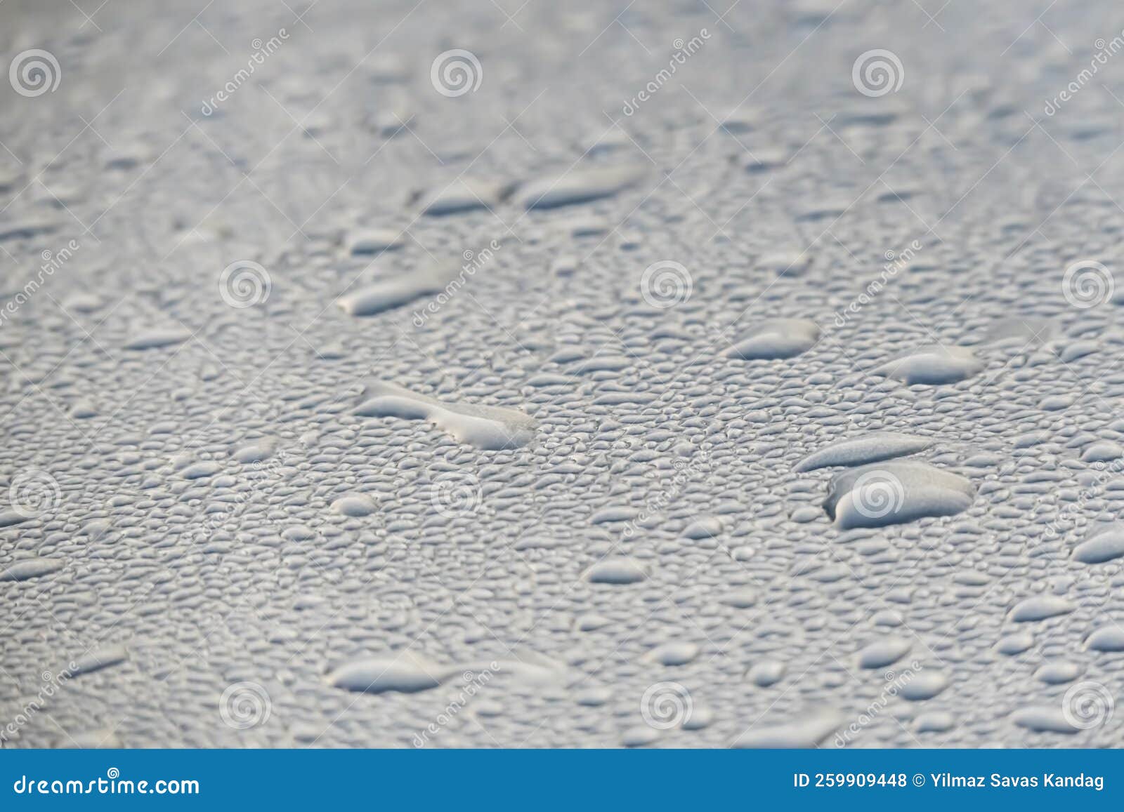 Close Up Rain Droplets on the Surface Stock Photo - Image of bubble ...