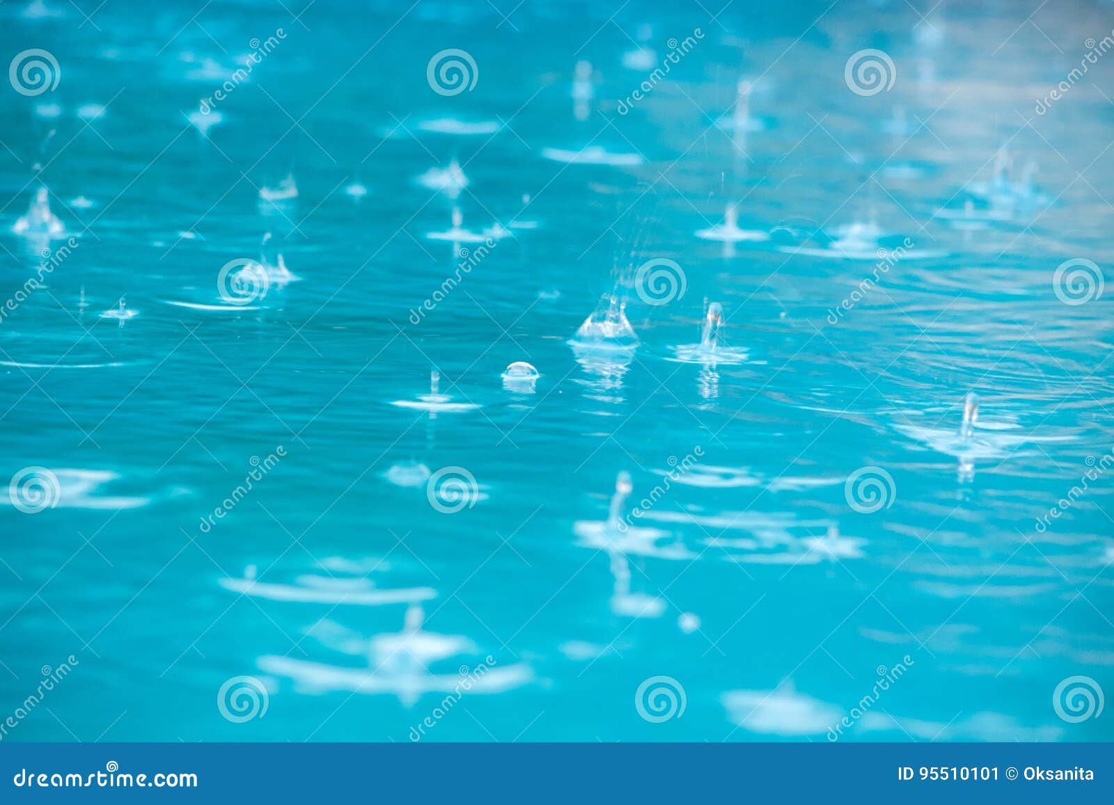 Close up of rain drops. stock image. Image of falling - 95510101