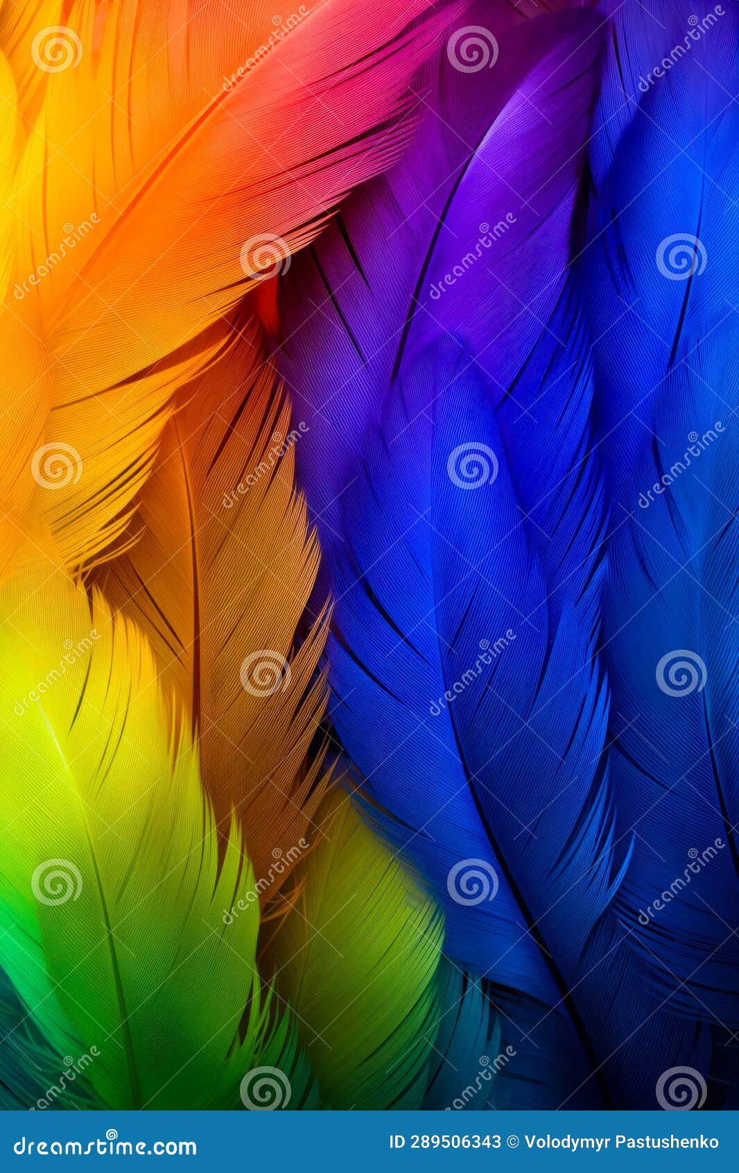 Close Up of Rainbow Colored Feather Background with Black Border ...