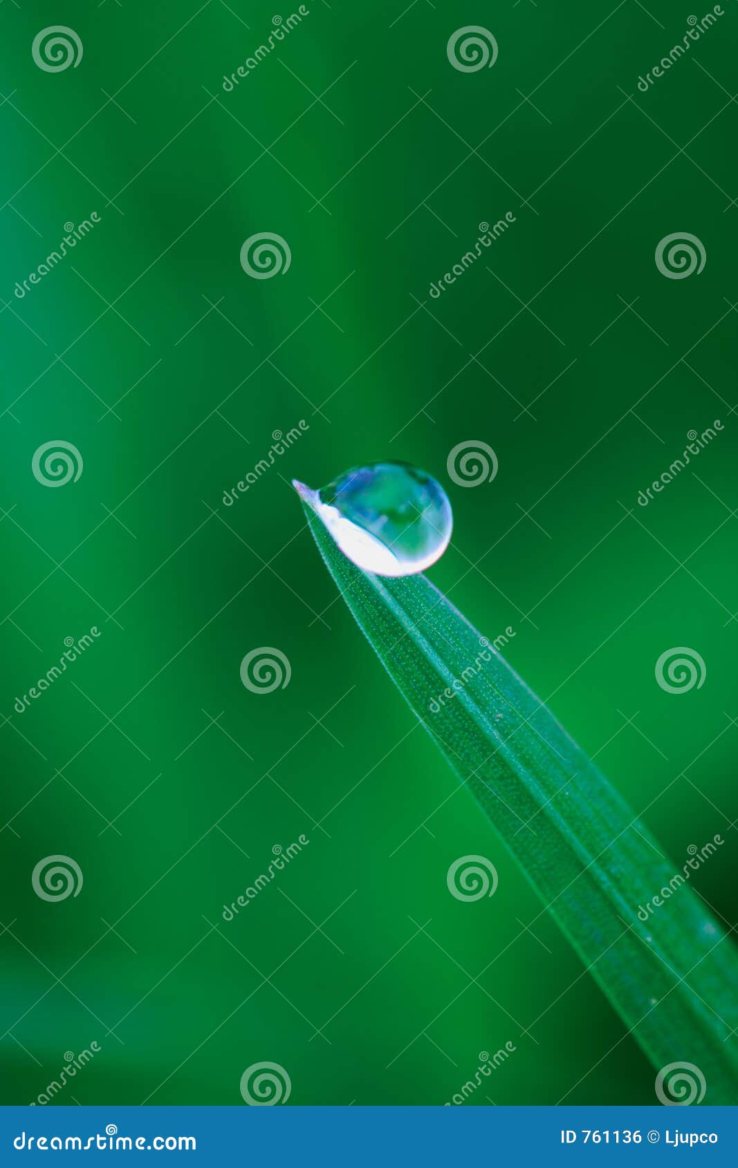 Close up of a raindrop stock photo. Image of abstract, detail - 761136