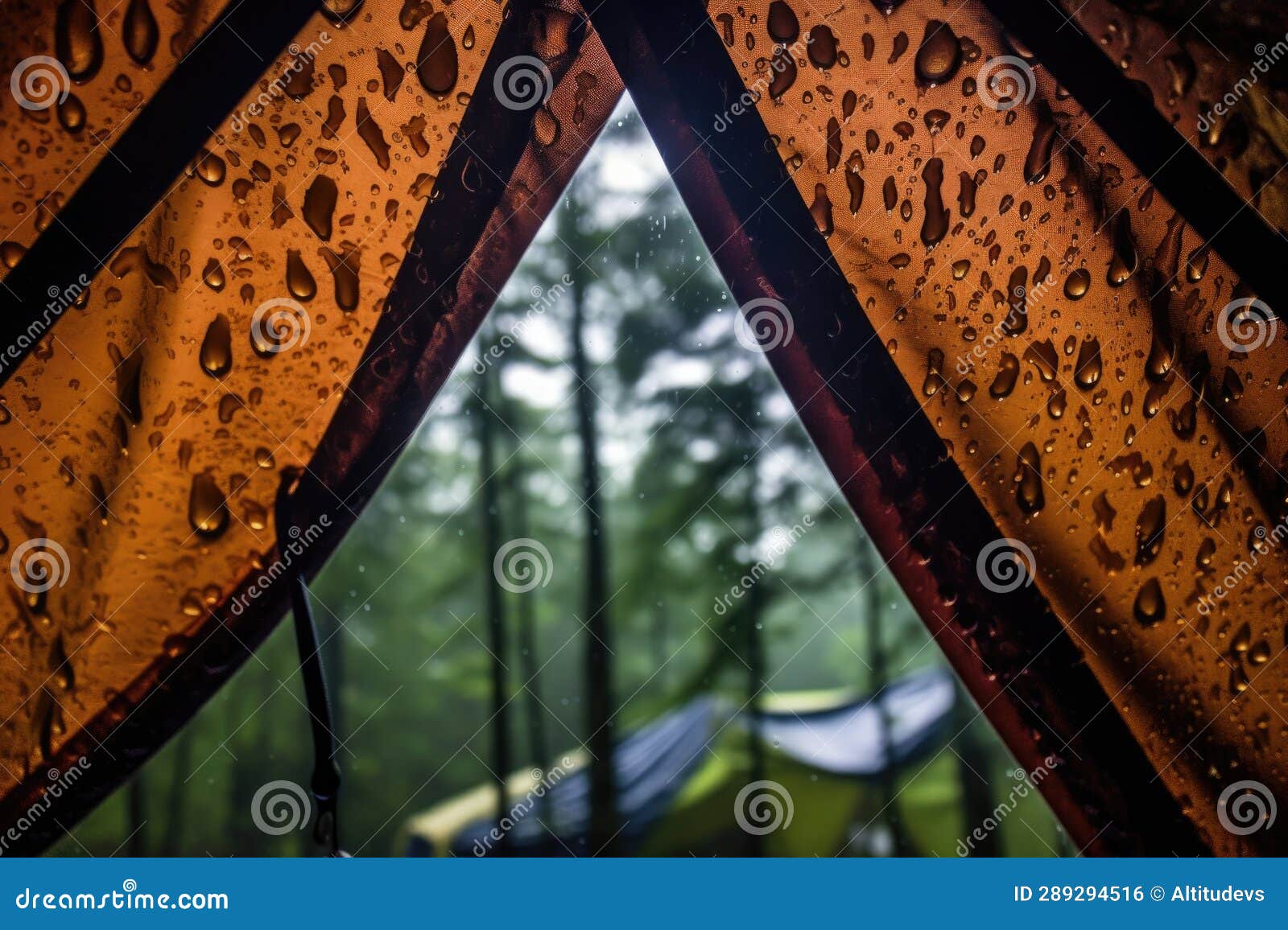 Close-up of Raindrops on a Tent during a Forest Storm Stock Photo ...
