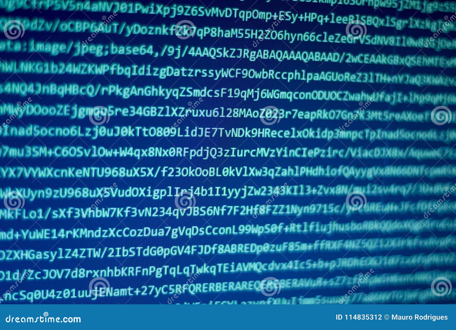 Random computer code stock photo. Image of information - 114835312