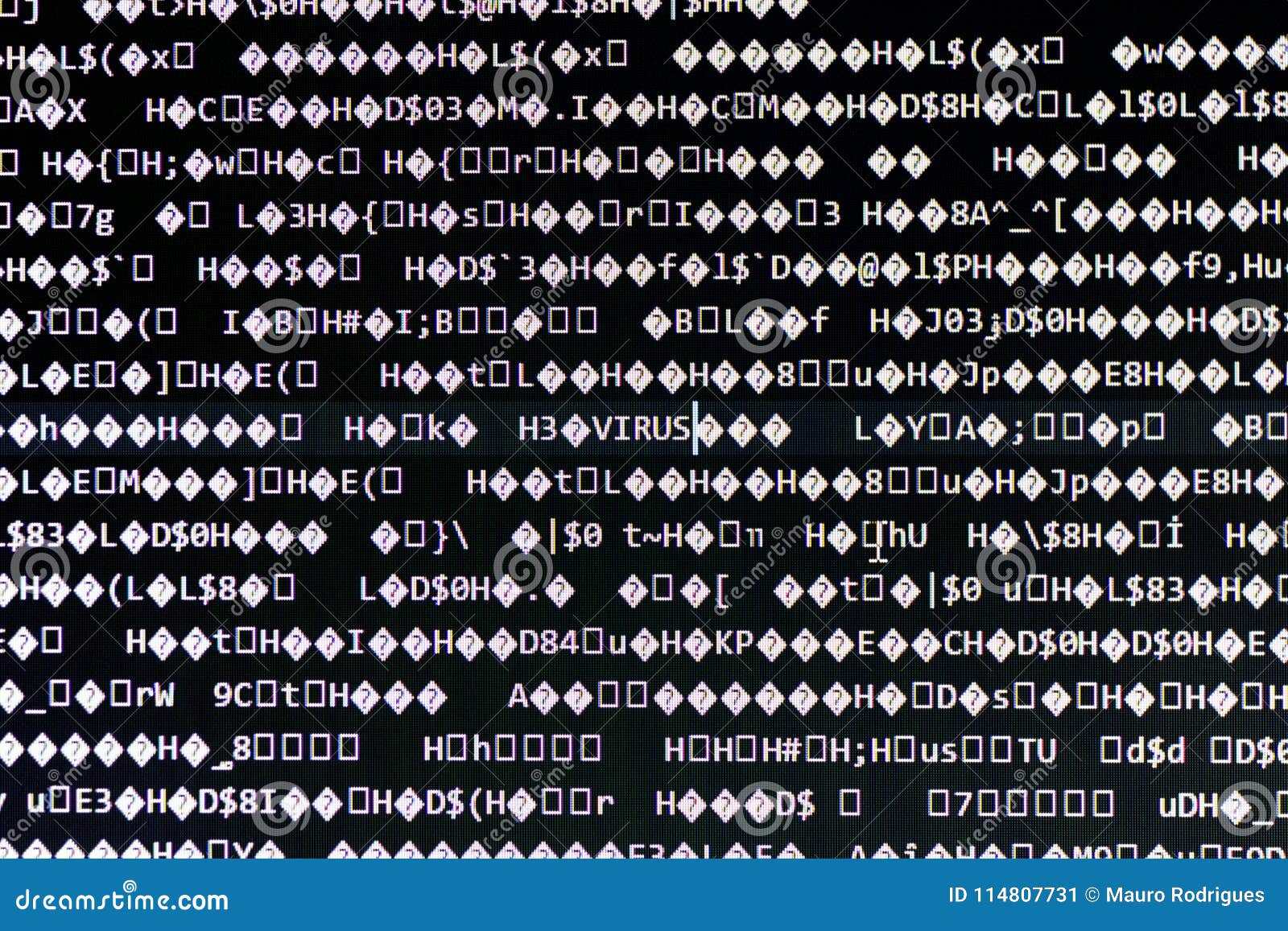 Random Computer Code With Word Virus Stock Image Image Of Numbers Matrix 114807731