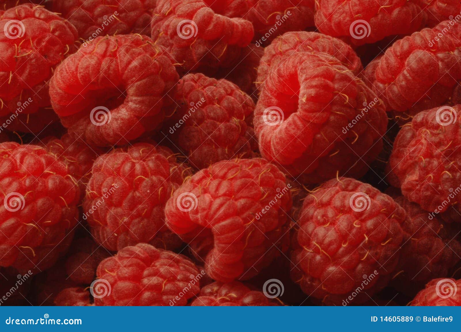 Close-up of raspberries stock image. Image of groceries - 14605889